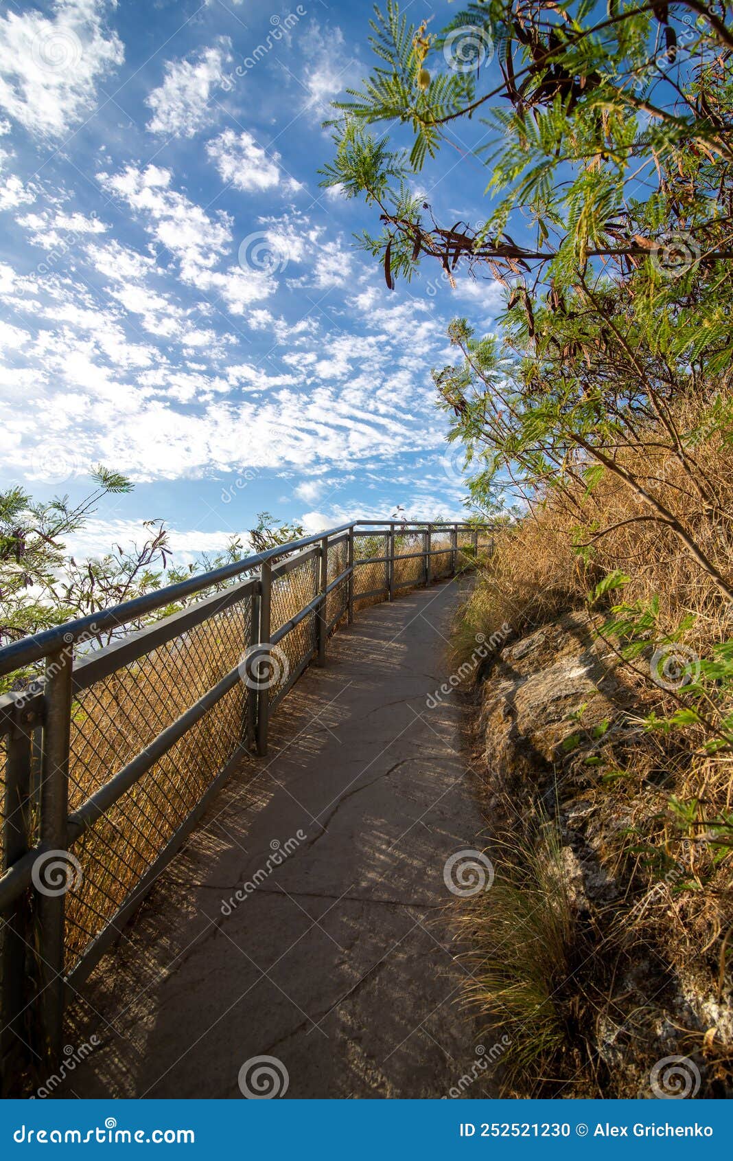 Hiking Nature Views on Diamond Head Honolulu Hawaii Stock Photo - Image ...