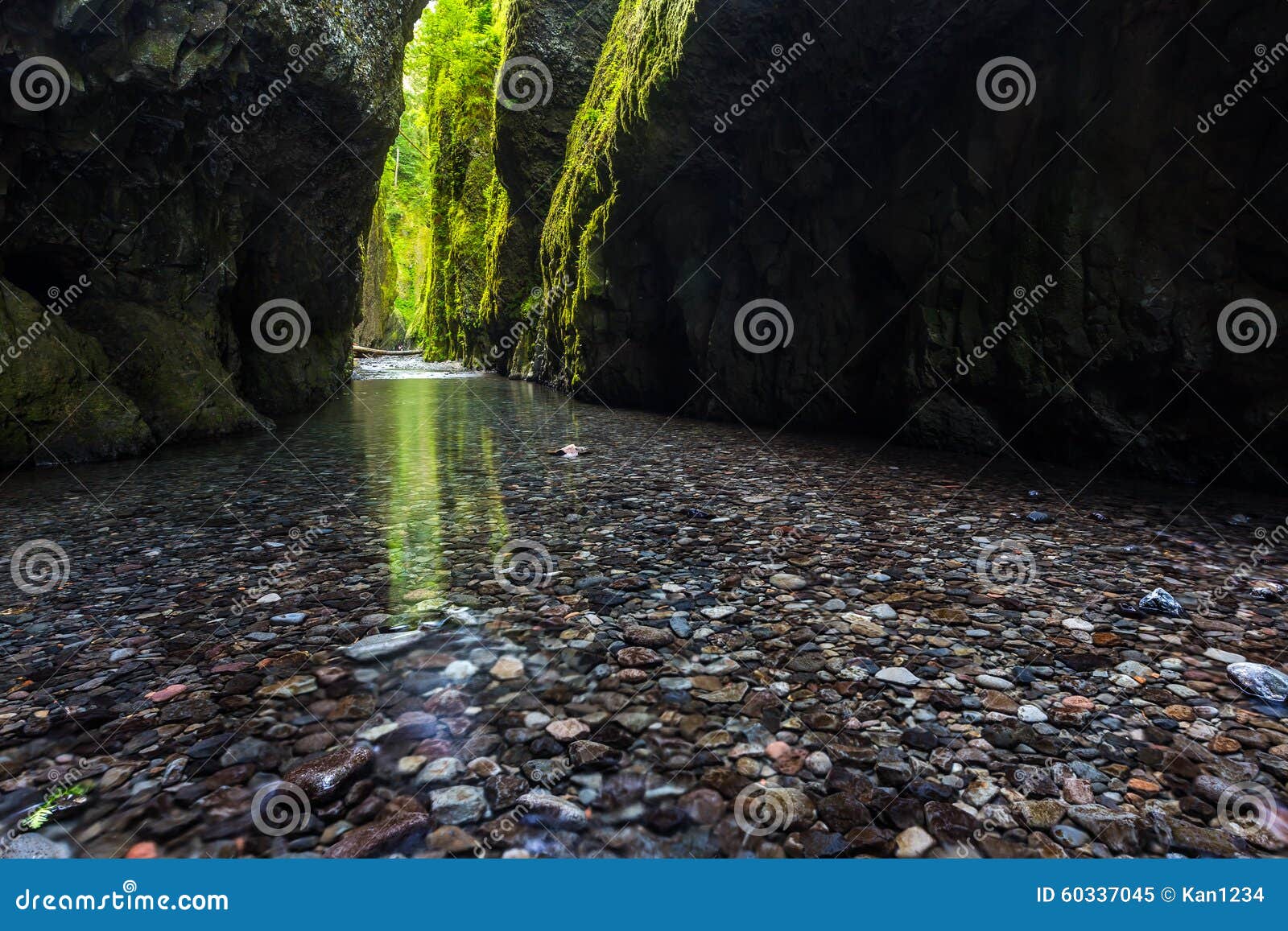 Hiking in Oneonta Gorge Trail, Oregon. Stock Image - Image of scenic ...