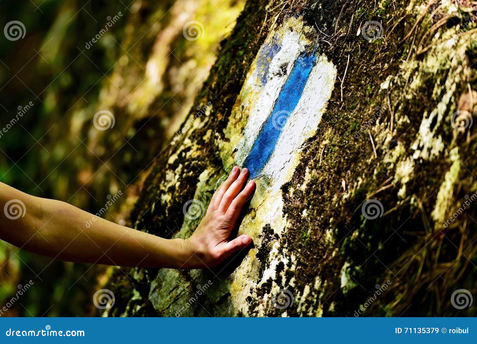 Hiking Paint Marking on a Trail Stock Image - Image of outdoor, path ...