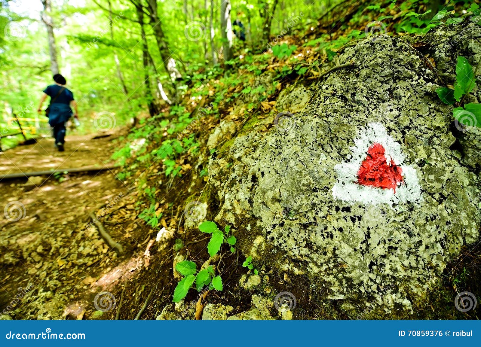 Hiking Paint Marking on a Trail Stock Photo - Image of nature, spring ...