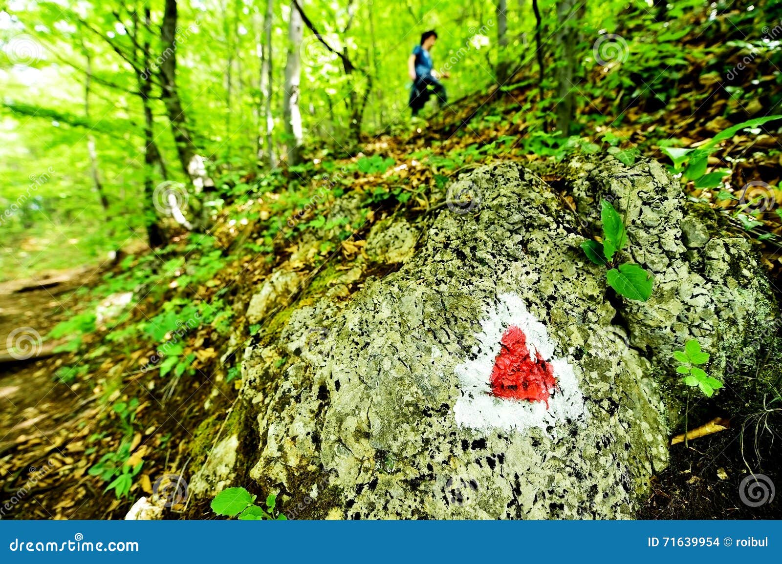 Hiking Paint Marking on a Trail Stock Photo - Image of mark, horizontal ...