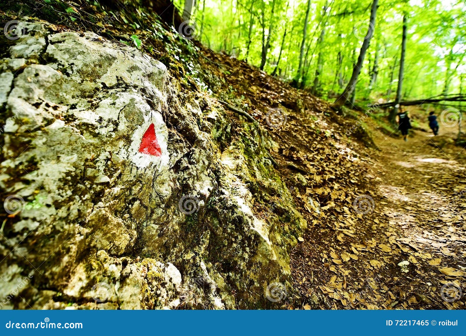 Hiking Paint Marking on a Trail Stock Image - Image of mountains ...