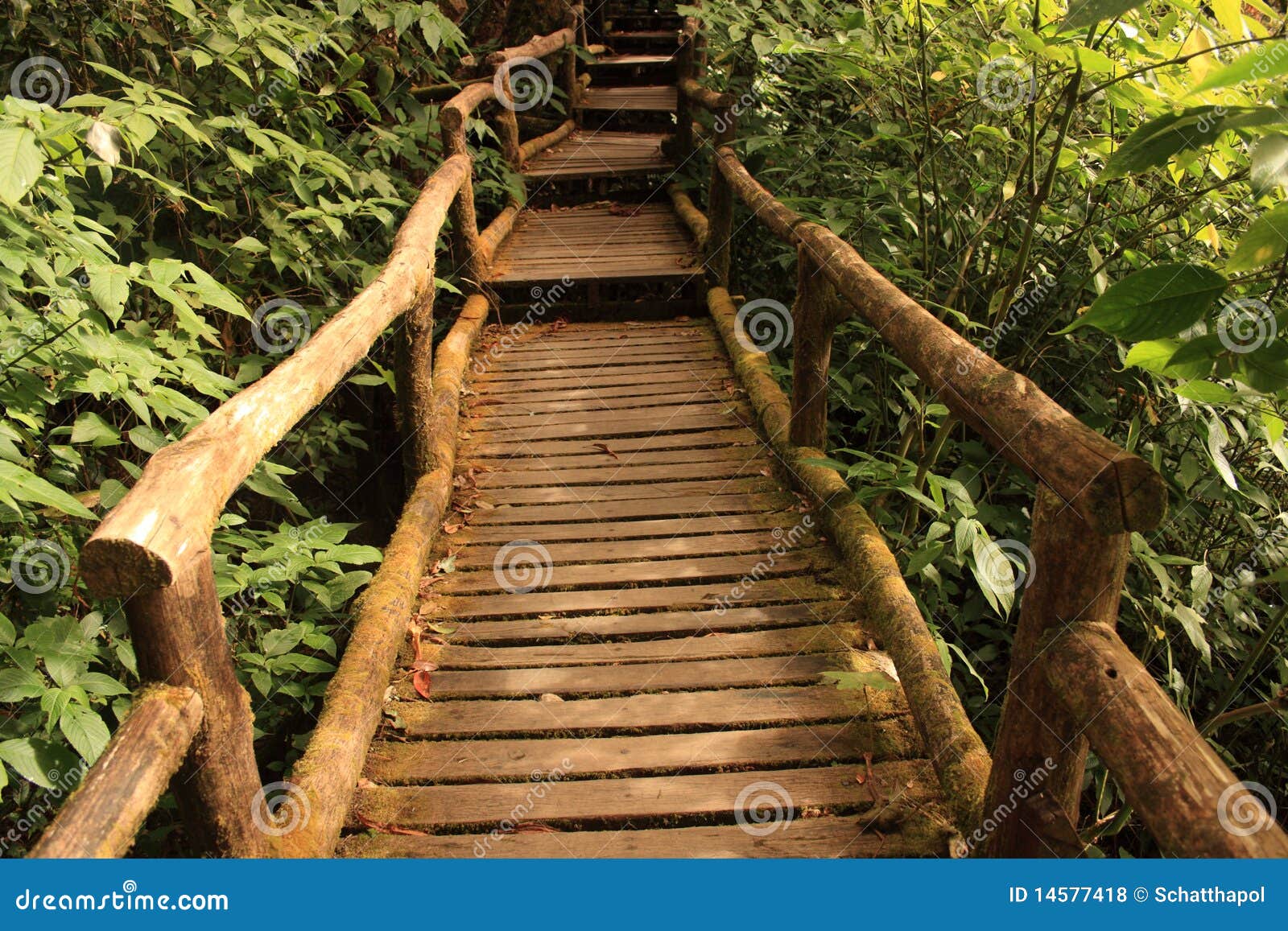 Hiking path stock photo. Image of natural, travel, park - 14577418