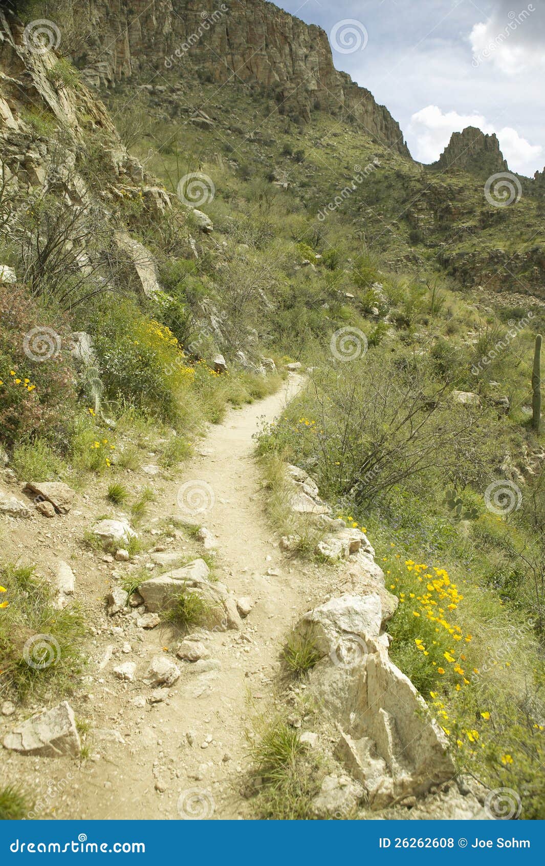 A hiking path stock photo. Image of scenic, travel, north - 26262608