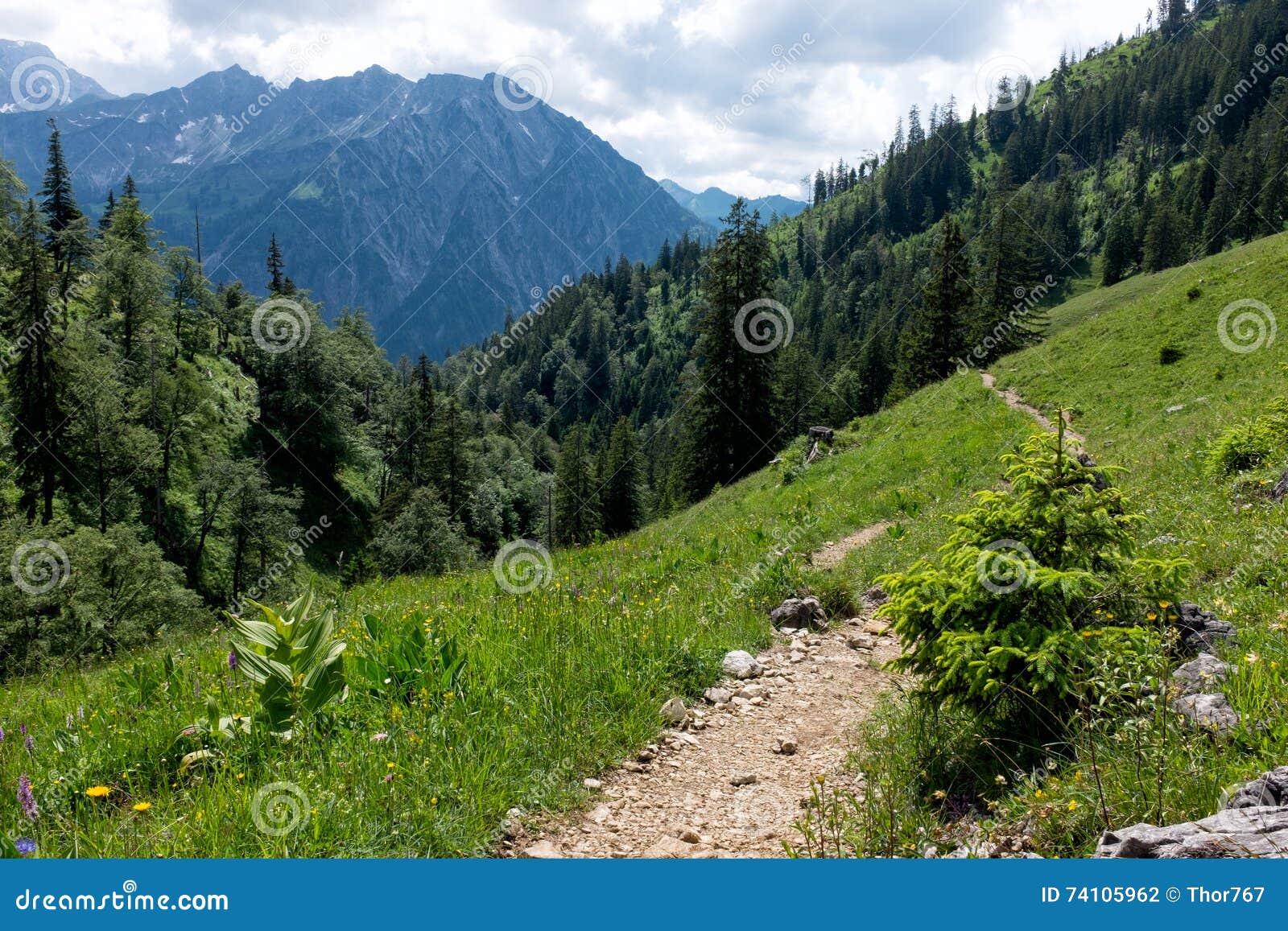 Hiking path in Alps stock photo. Image of range, mountain - 74105962