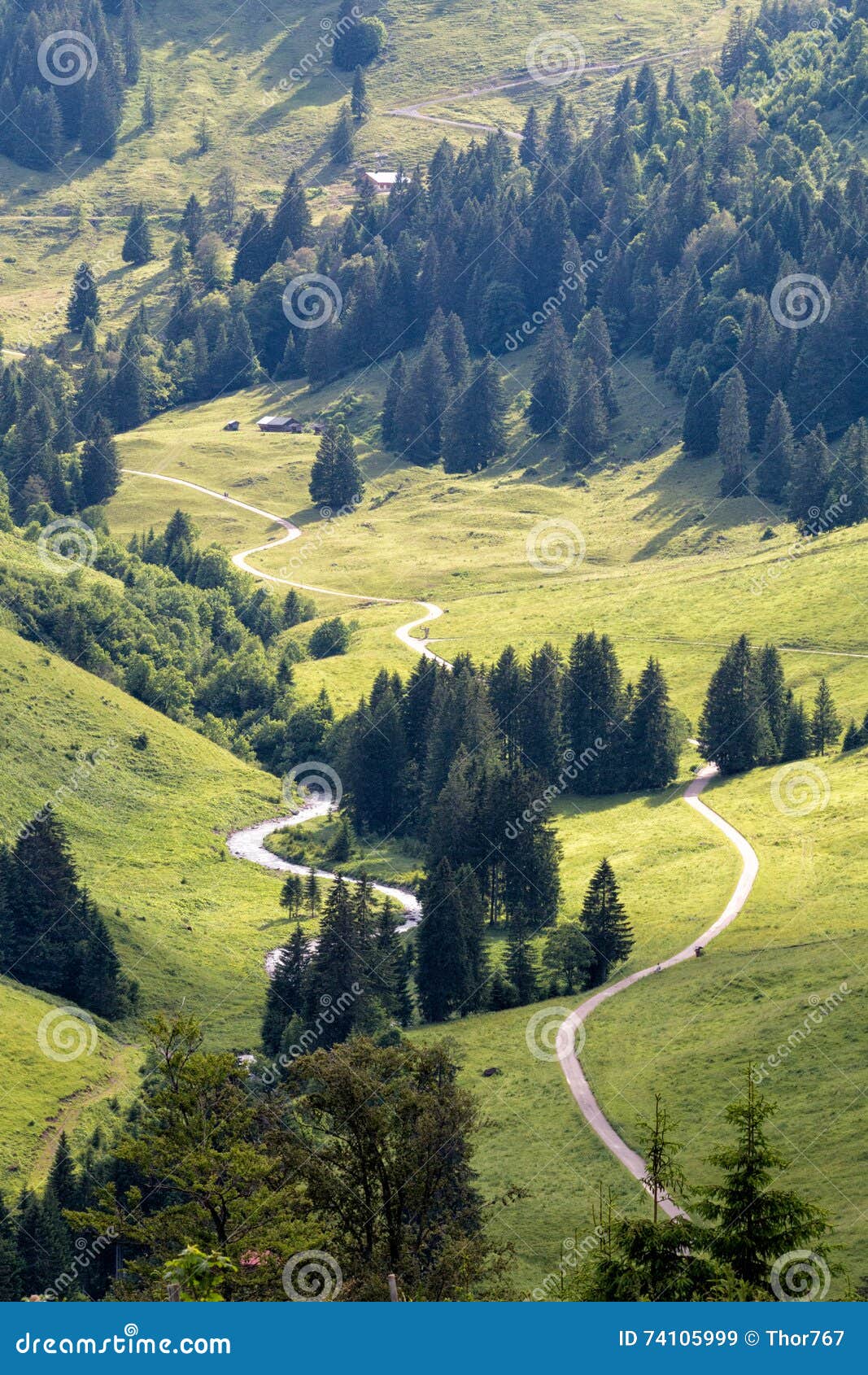 Hiking path in Alps stock image. Image of alps, rural - 74105999