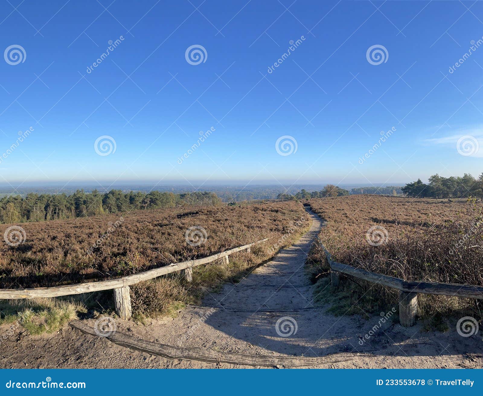 Hiking Path at the Archemerberg Stock Photo - Image of fall, autumn ...