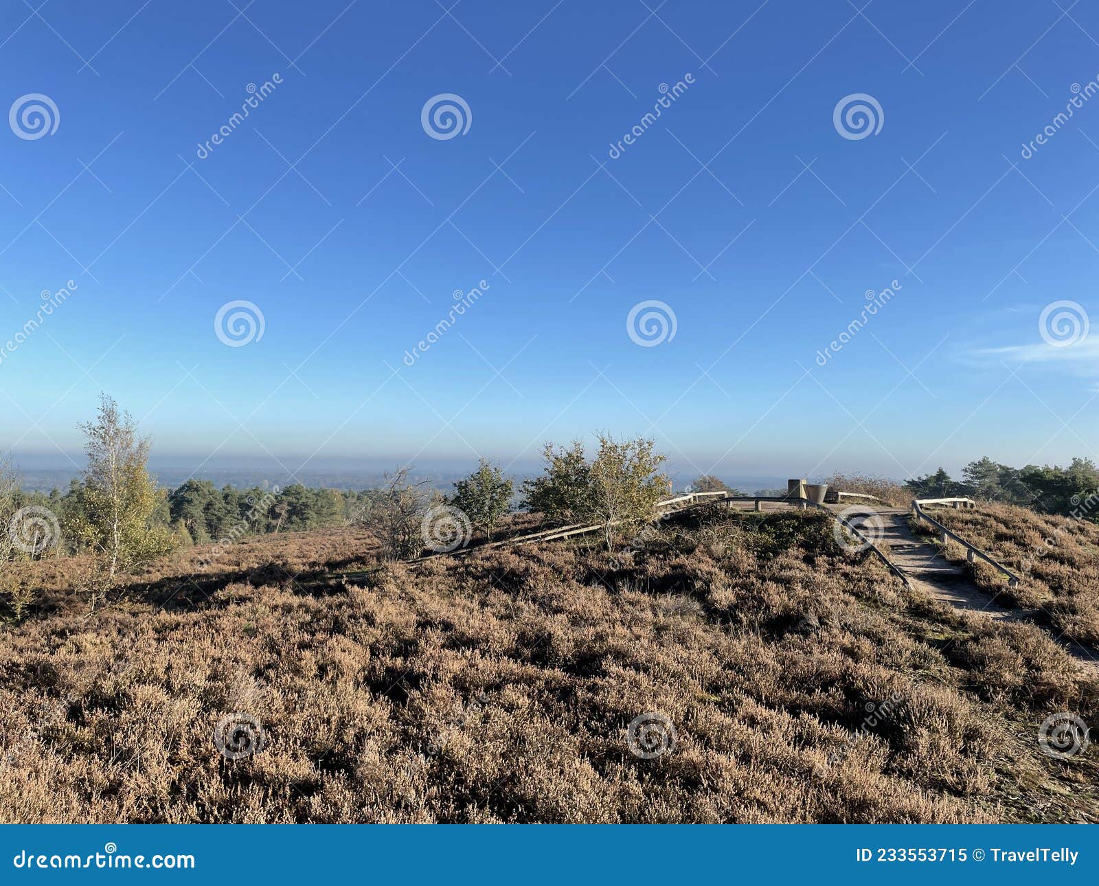Hiking Path at the Archemerberg Stock Image - Image of fall, overijssel ...