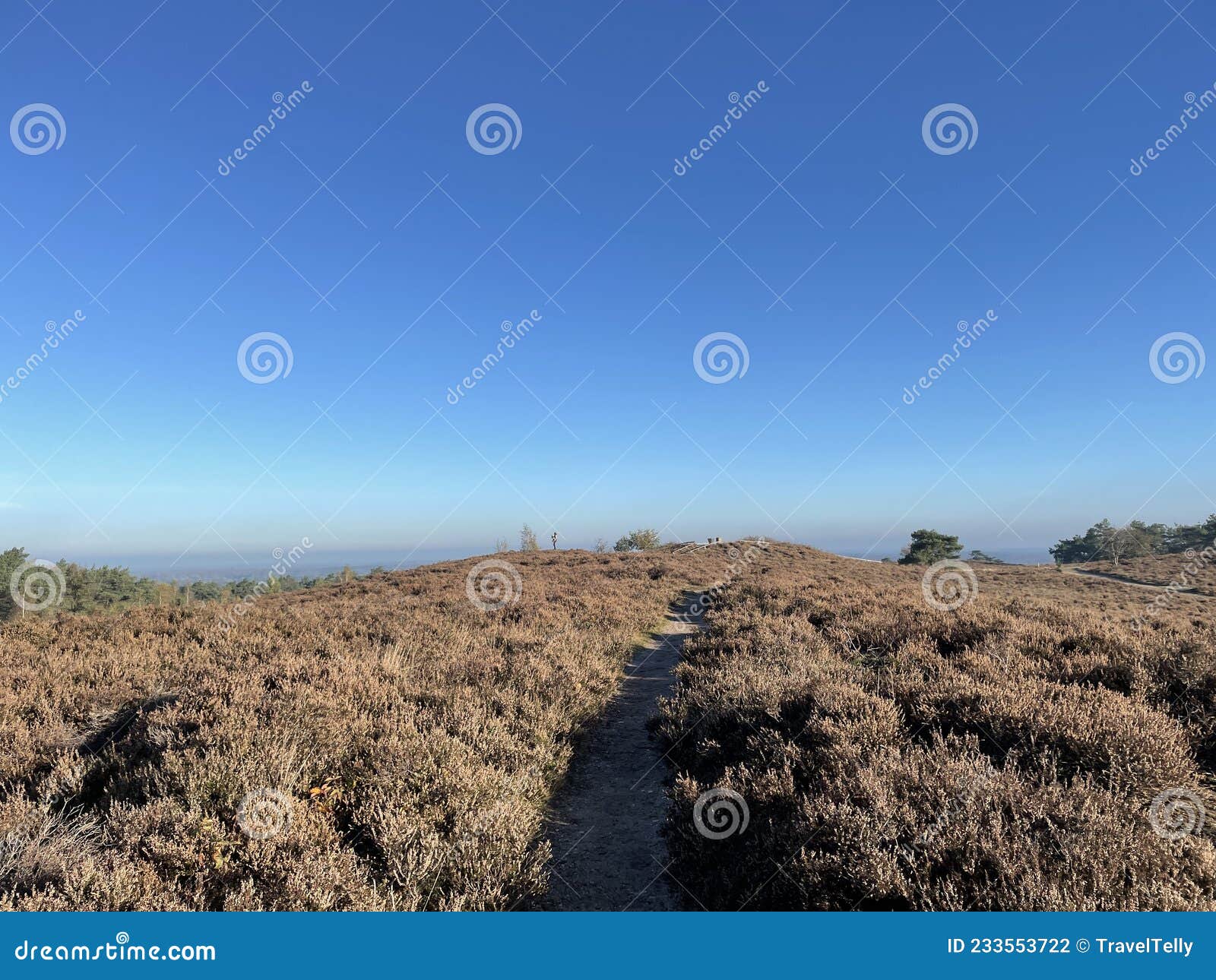 Hiking Path at the Archemerberg Stock Photo - Image of path ...