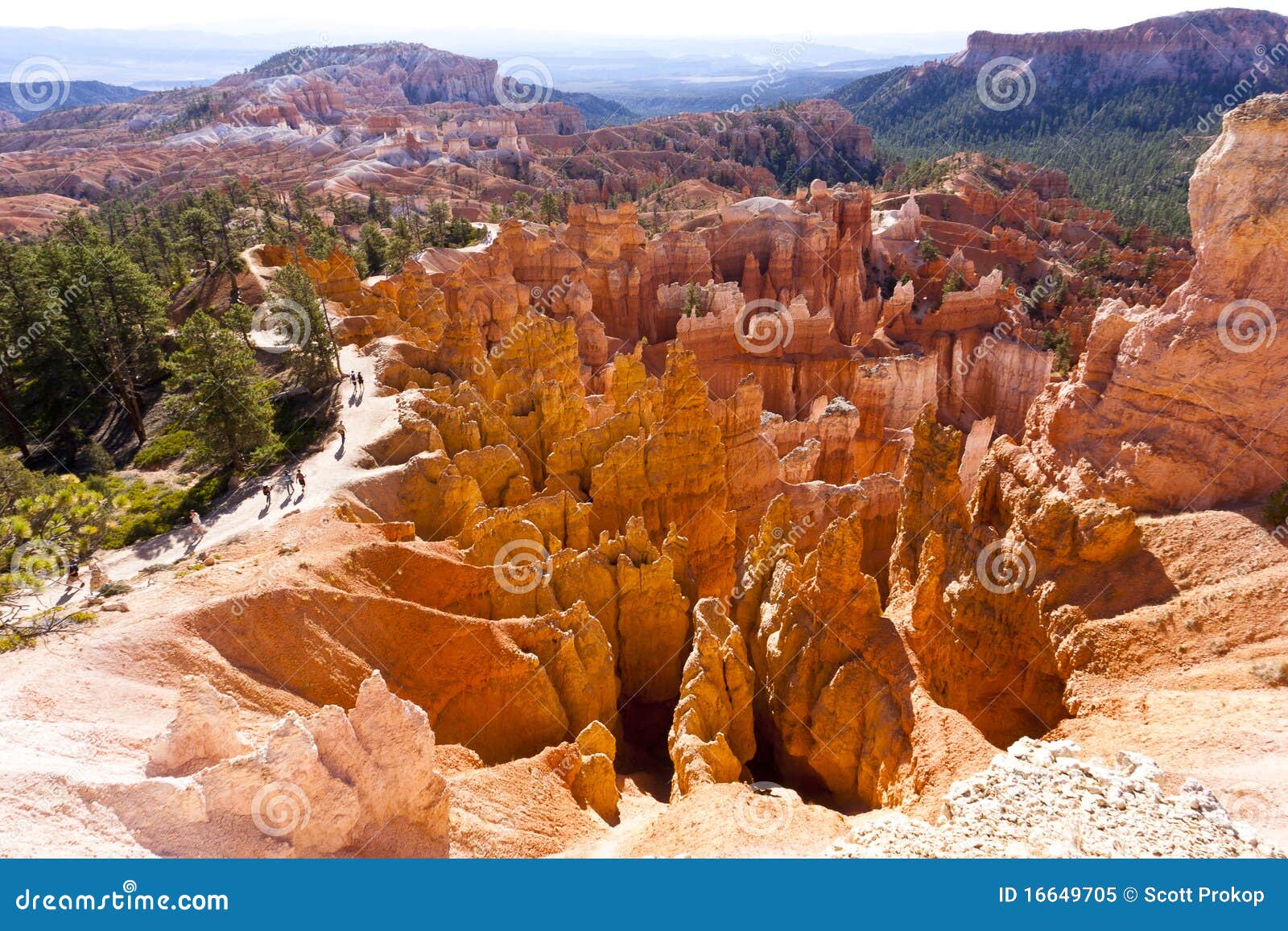 Hiking the Path at Bryce Canyon National Park Stock Image - Image of ...