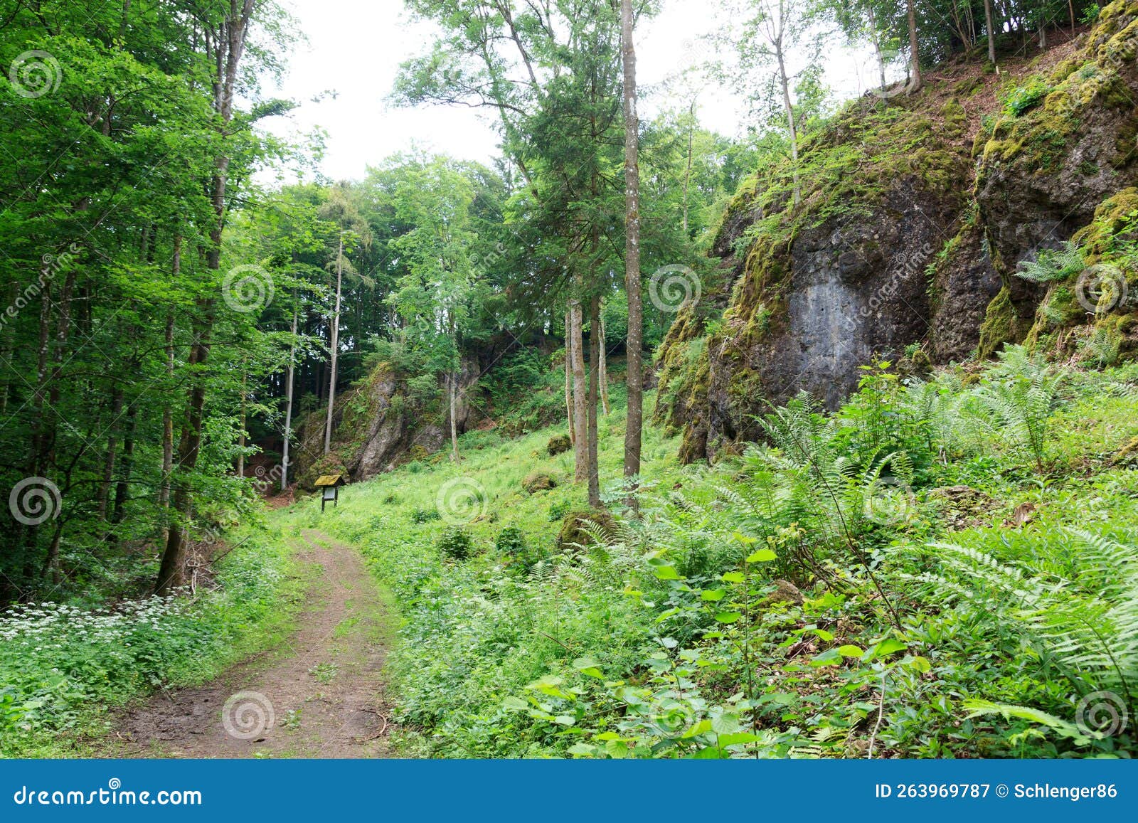 Hiking Path in the Eifel Mountains with Rocks and Trees Near Gerolstein ...