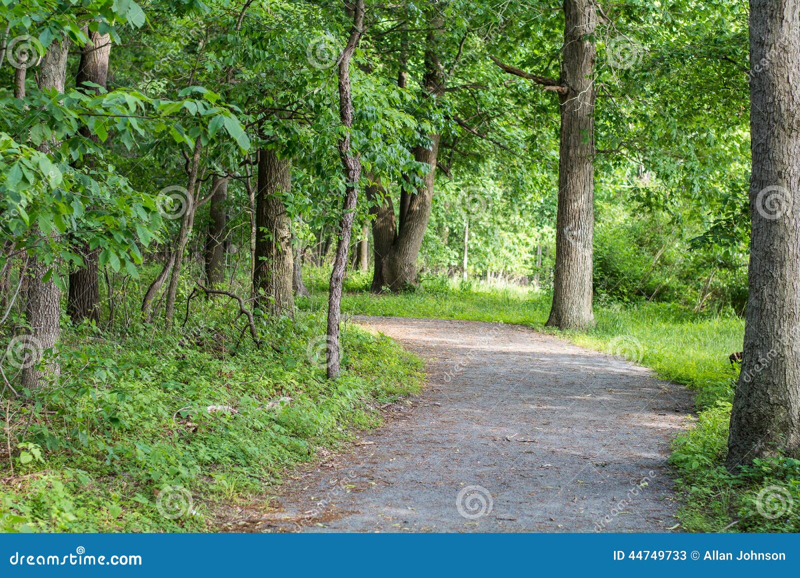 Hiking Path stock image. Image of footpath, path, journey - 44749733