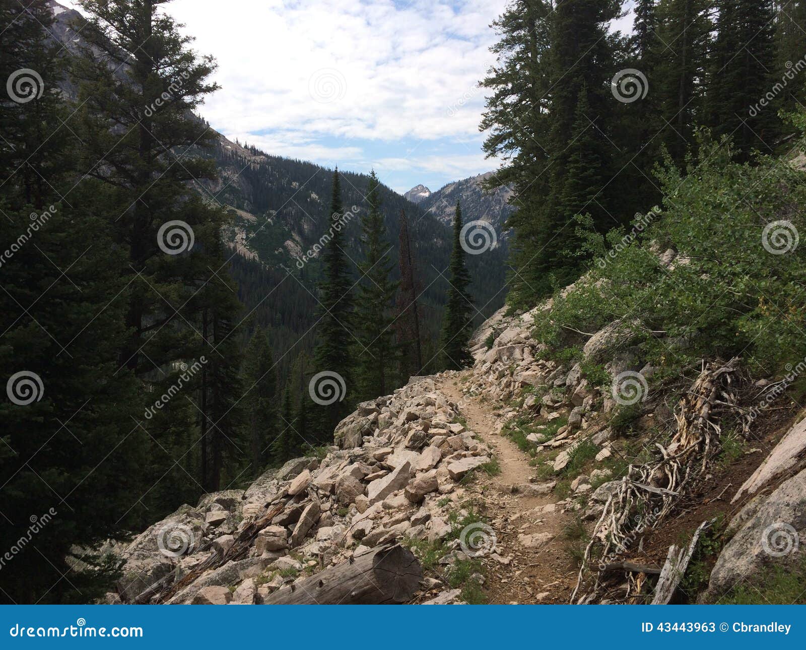Hiking Path in Sawtooth Mountains Stock Image - Image of hiking, fence ...