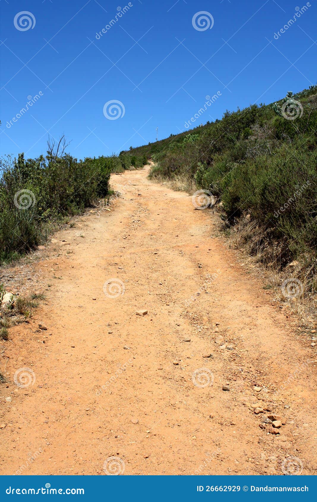 Hiking Path on Table Mountain, South Africa Stock Image - Image of ...