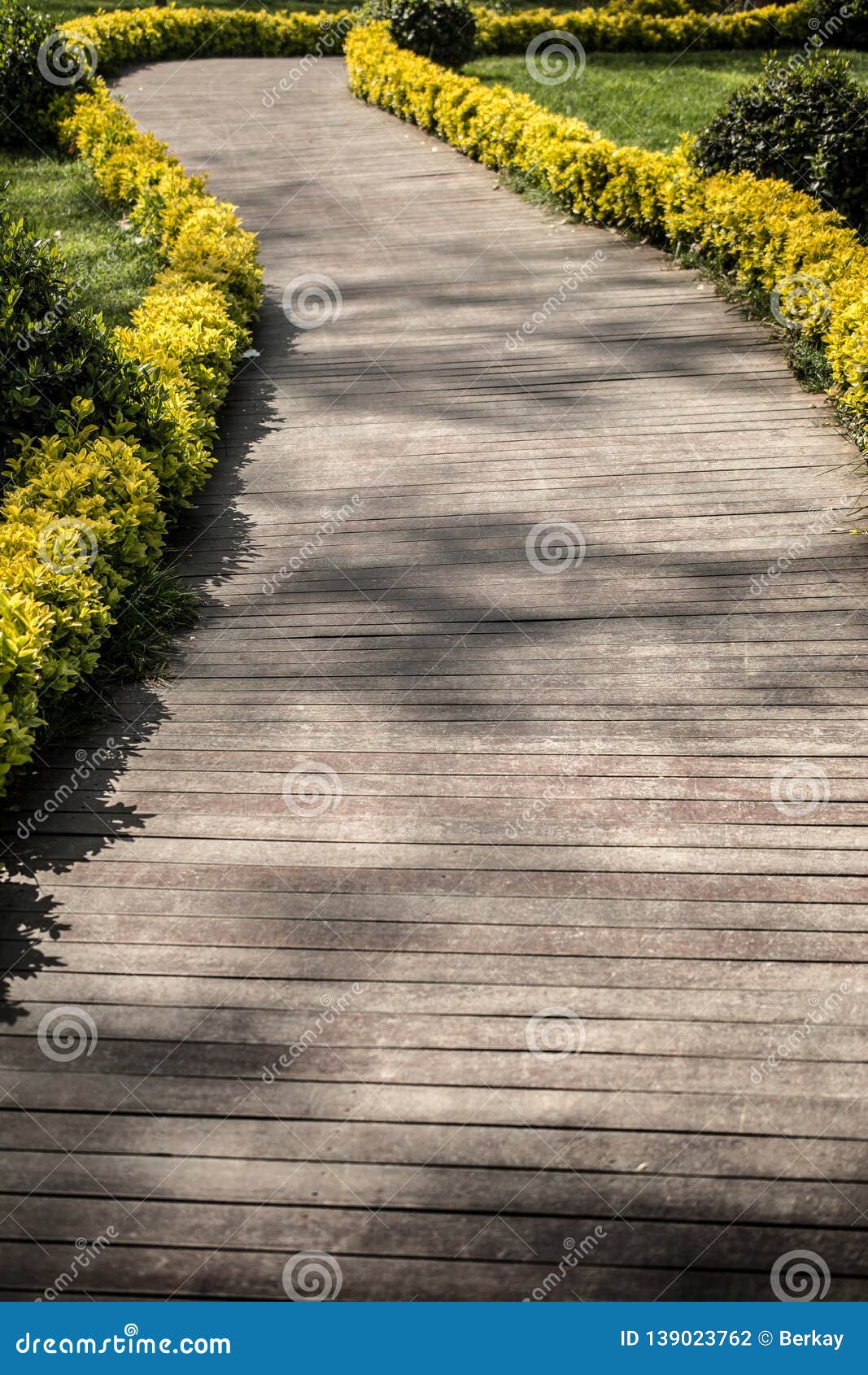 Hiking Path for Walking in View Stock Photo - Image of nature, mountain ...