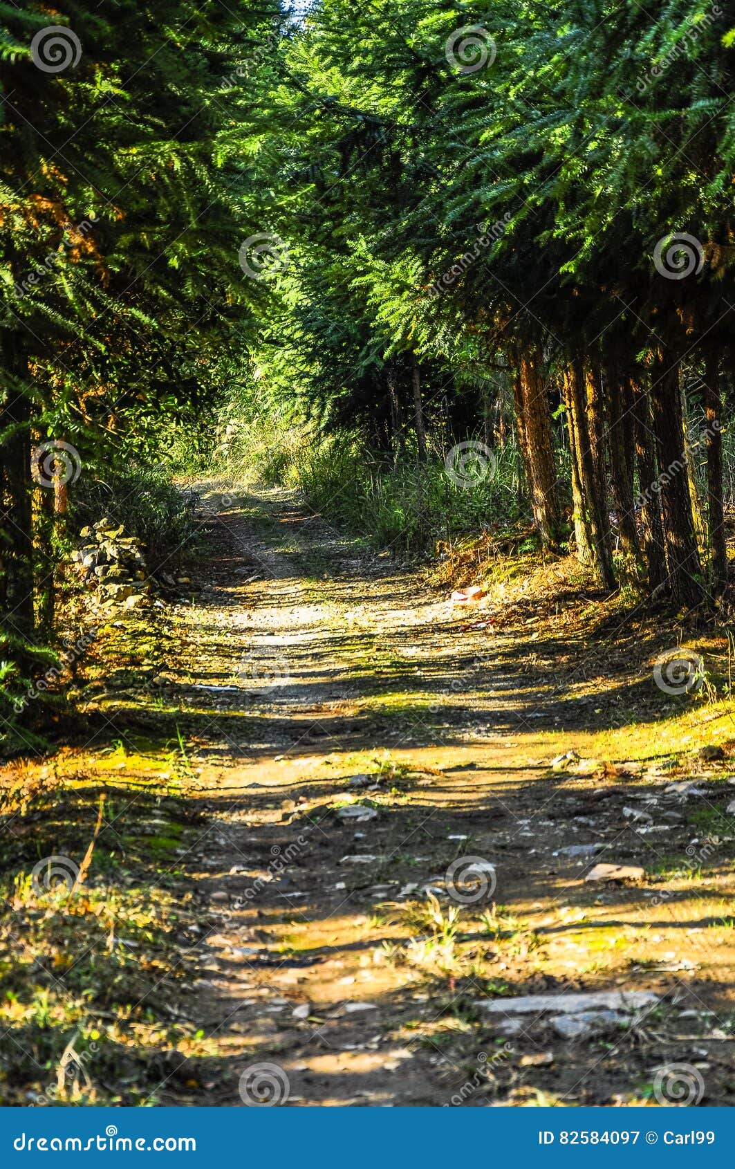 The hiking pathway scenery stock image. Image of holiday - 82584097