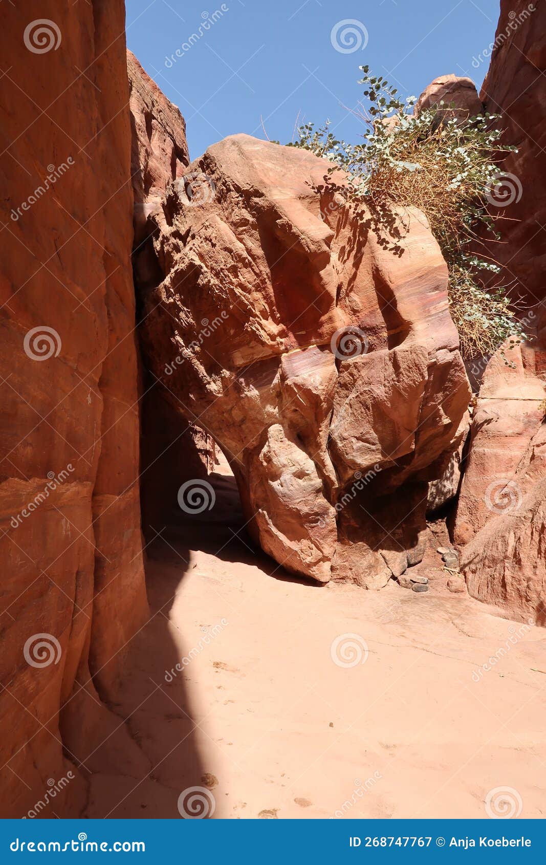 Hiking in Petra, Path on the Way To a Viewpoint, Jordan Stock Image ...