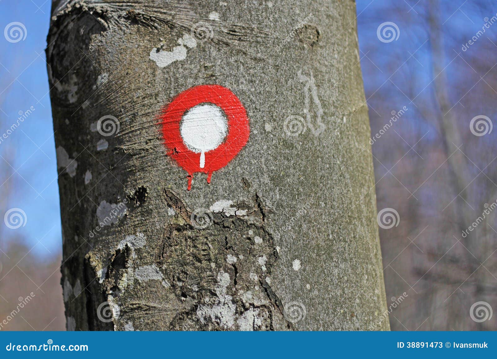 Hiking Post Pointing on Tree Stock Image - Image of hike, nature: 38891473