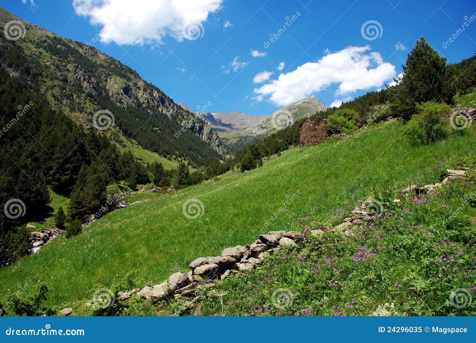 Hiking in Pyrenees Mountains in Andorra Stock Image - Image of lush ...