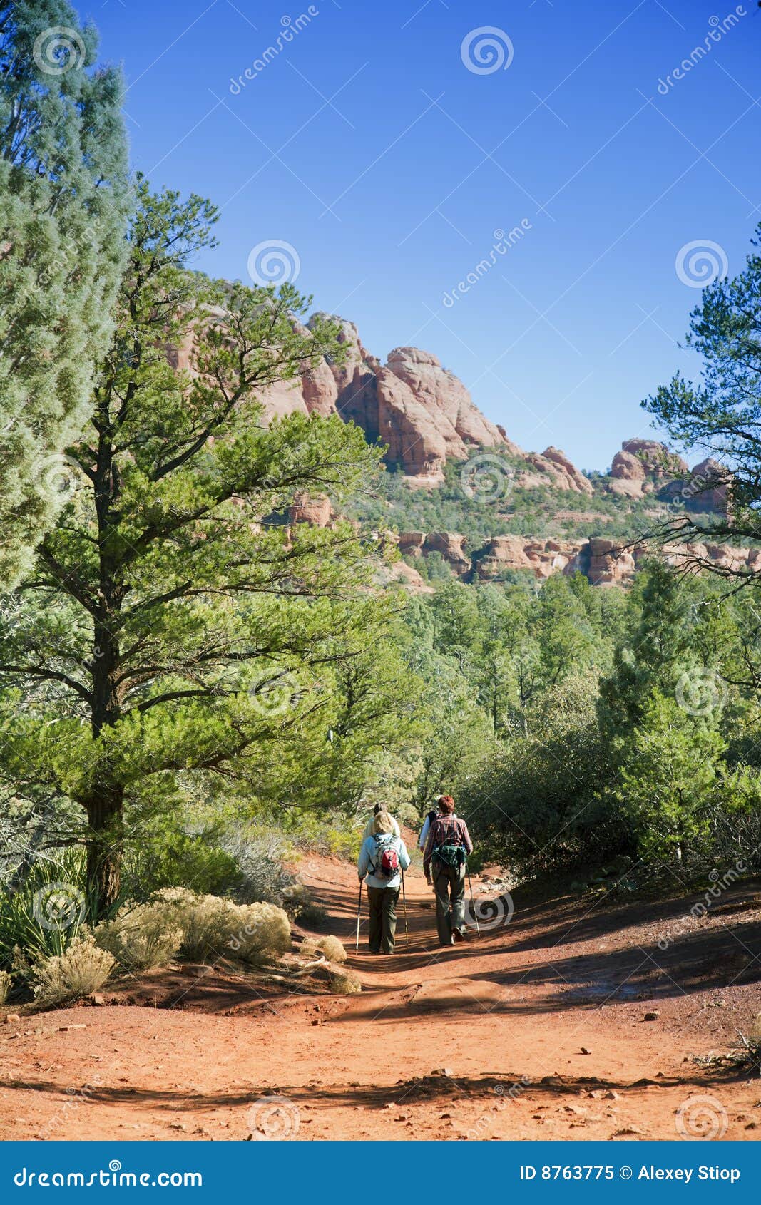Hiking in Red Rocks stock image. Image of sedona, vibrant - 8763775