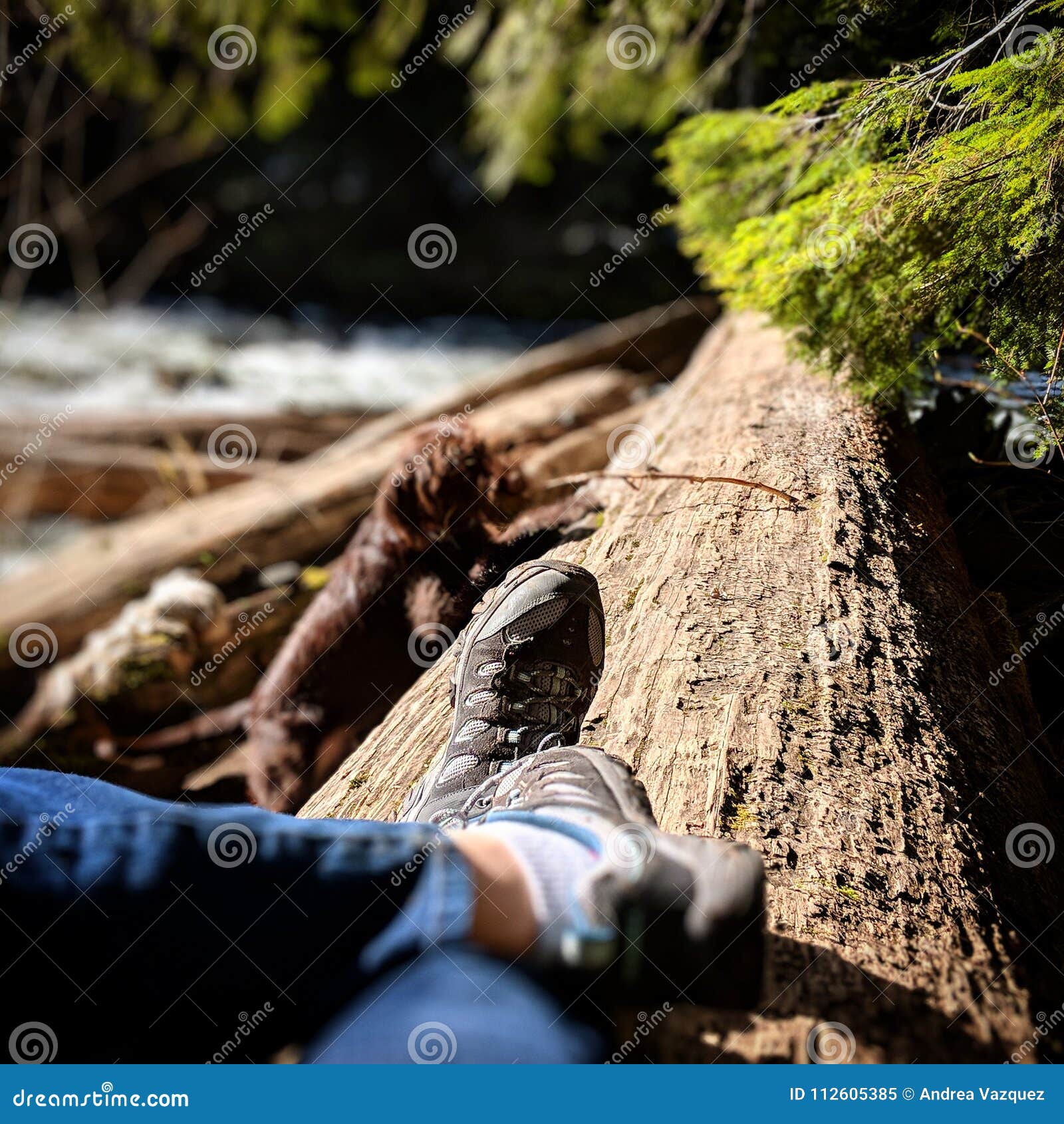 Hiking rest stock image. Image of relax, hiking, forest - 112605385