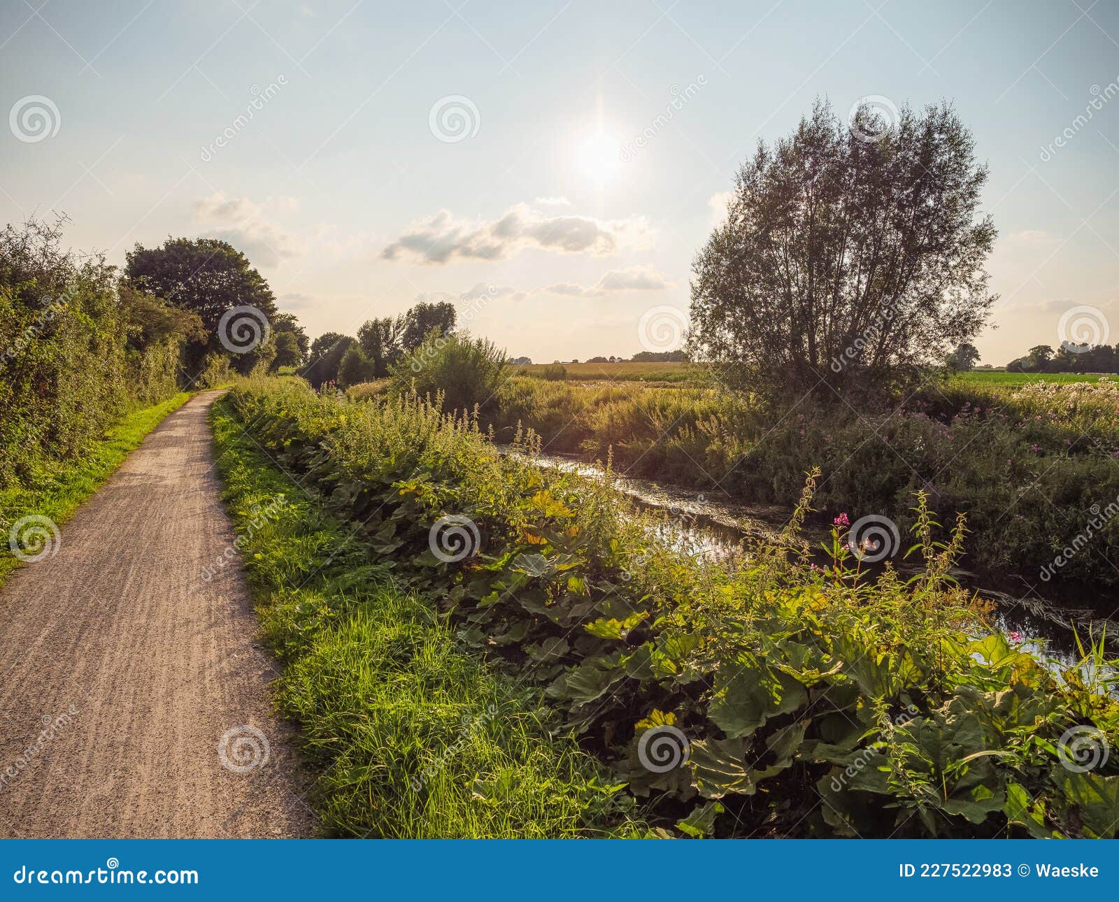 At the River Aa in Westphalia Stock Image - Image of nature, fence ...
