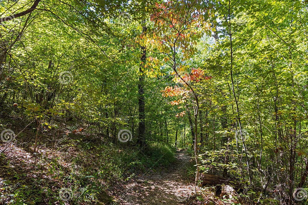 Hiking in the Sam`s Loop Trail Stock Photo - Image of national, outdoor ...