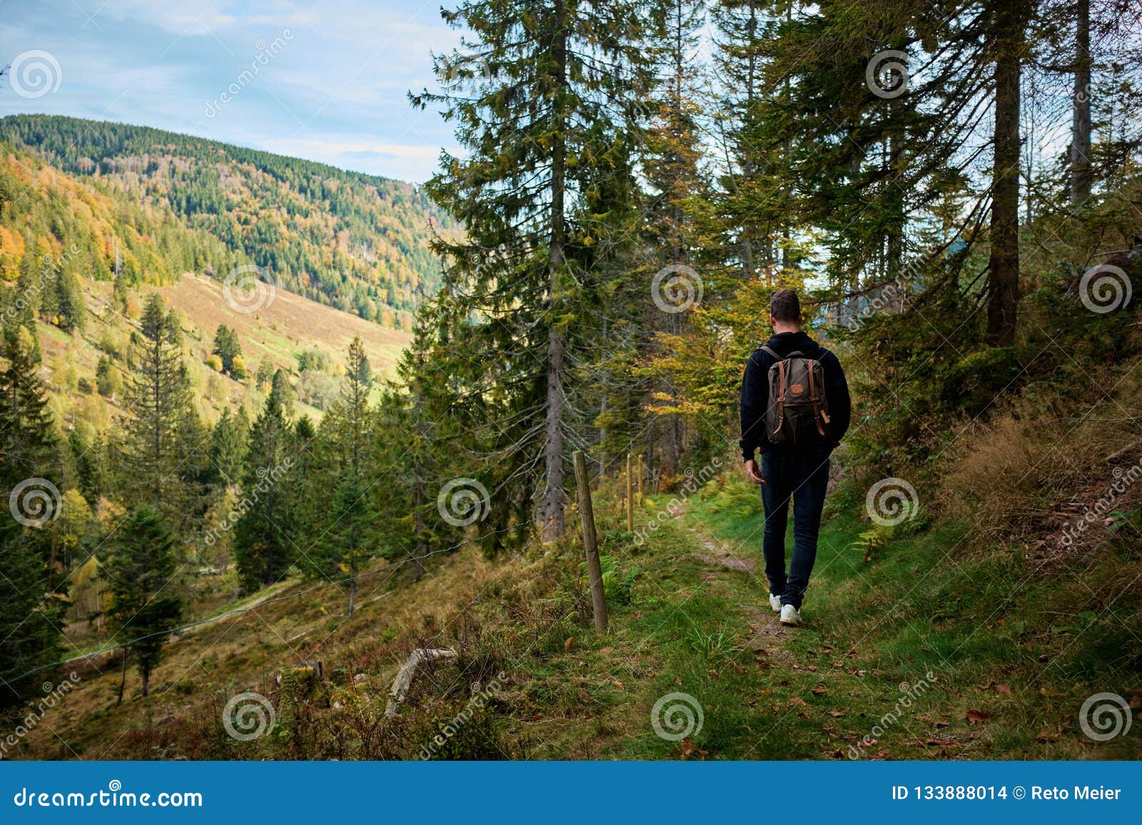 Hiking through the Schwarzwald in Germany Editorial Stock Image - Image ...