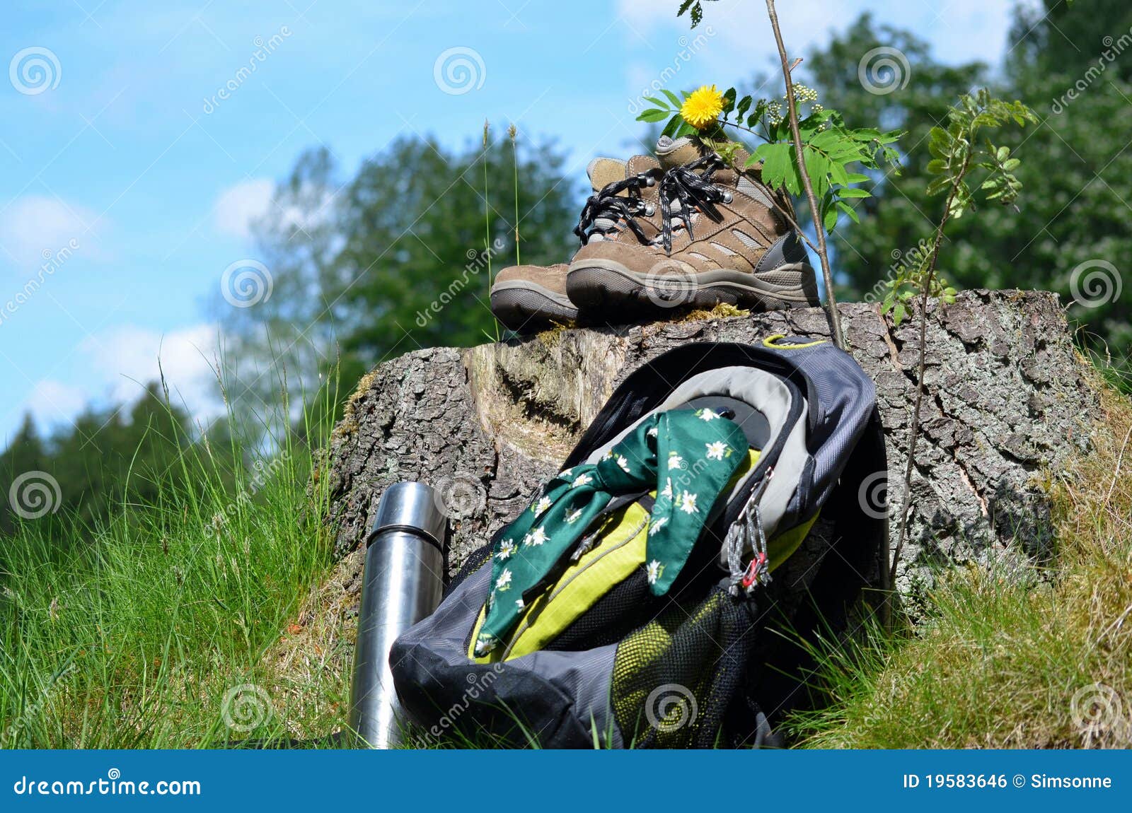 Hiking shoes Landscape stock photo. Image of forests - 19583646