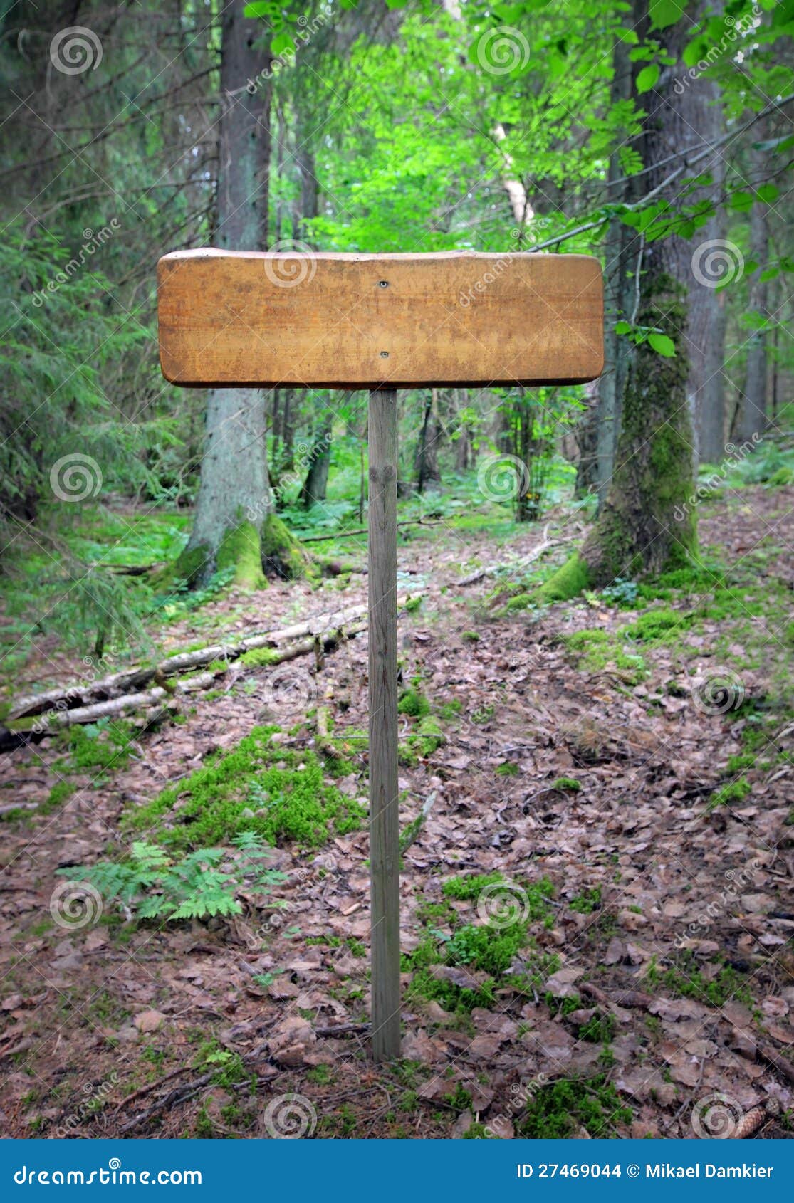 Hiking sign in forest stock photo. Image of leaf, tree - 27469044