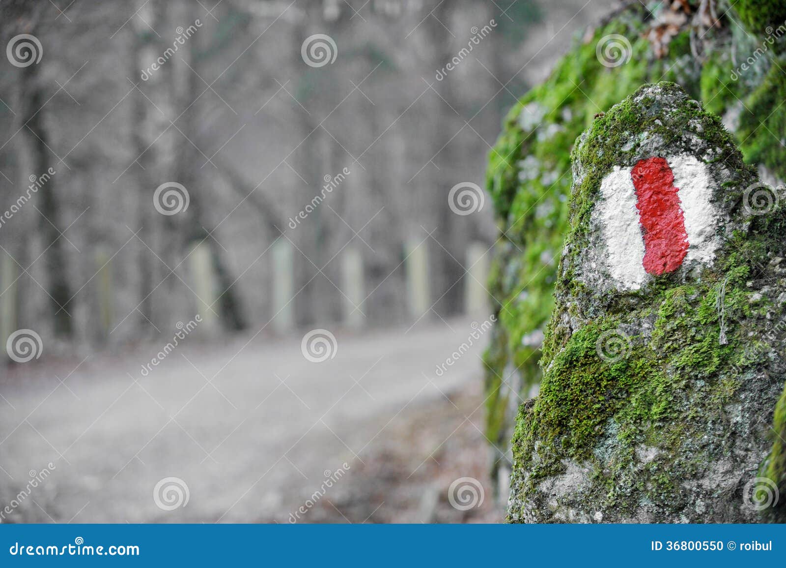 Hiking sign on a moss rock stock photo. Image of rock - 36800550