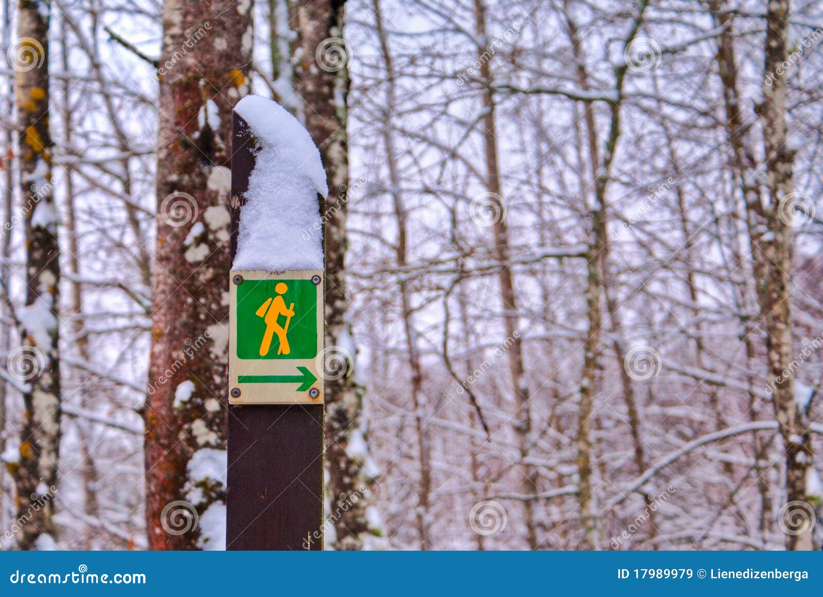Hiking sign in nature stock image. Image of yellow, outdoor - 17989979