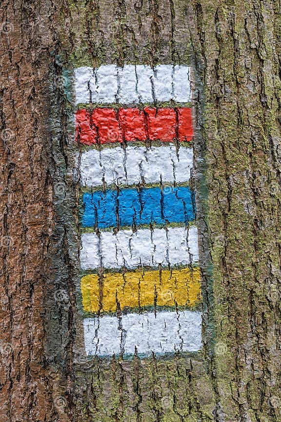 Hiking Sign on a Tree Trunk Tree Trunk Stock Image - Image of nature ...