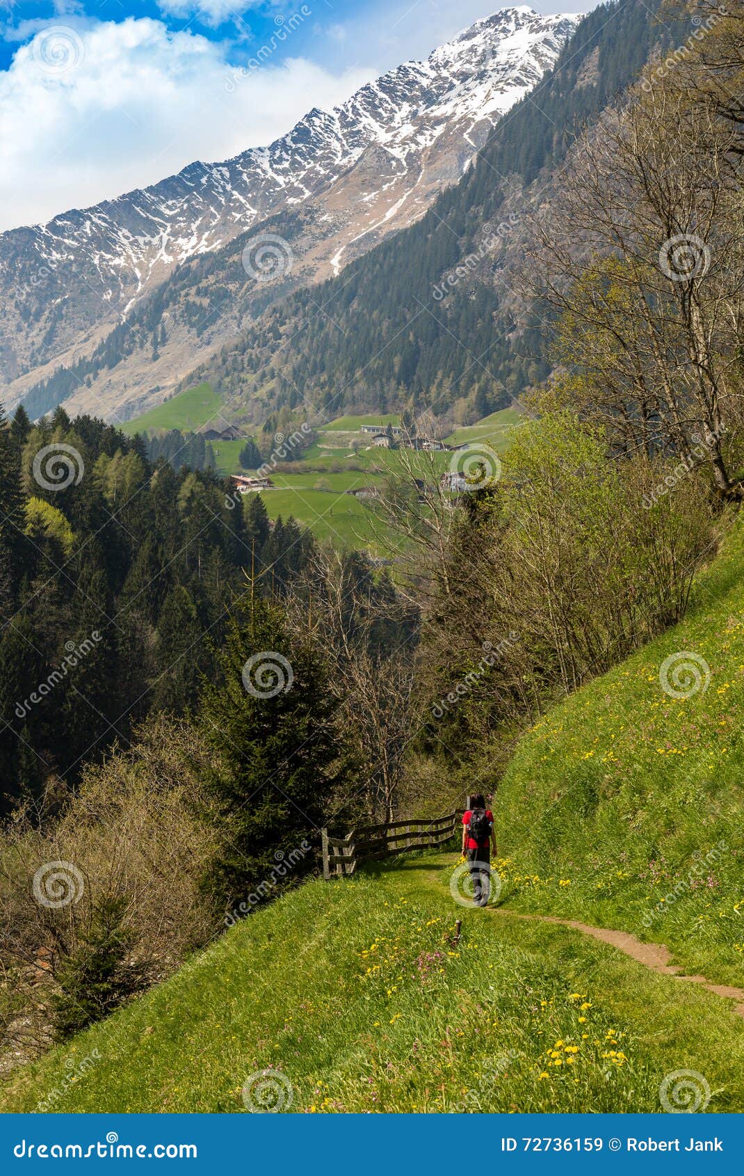 Hiking in South Tyrol stock image. Image of mountains - 72736159