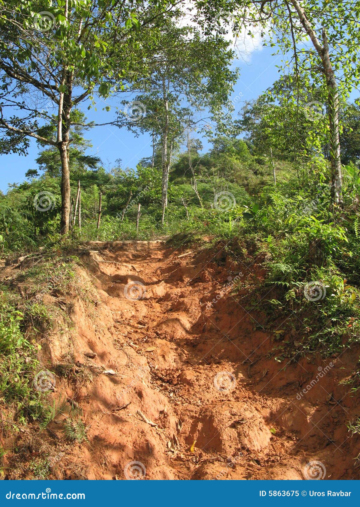 Hiking steep path stock image. Image of scenery, colombia - 5863675