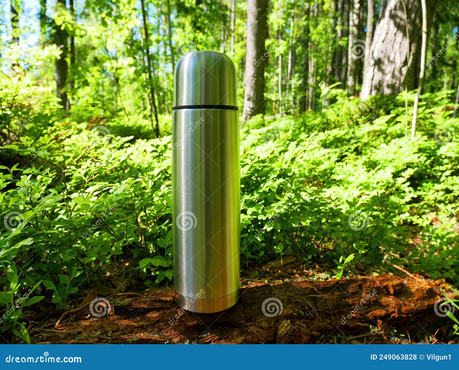 Hiking with a Thermos in Nature. Metal Thermos for Tea and Drinks ...