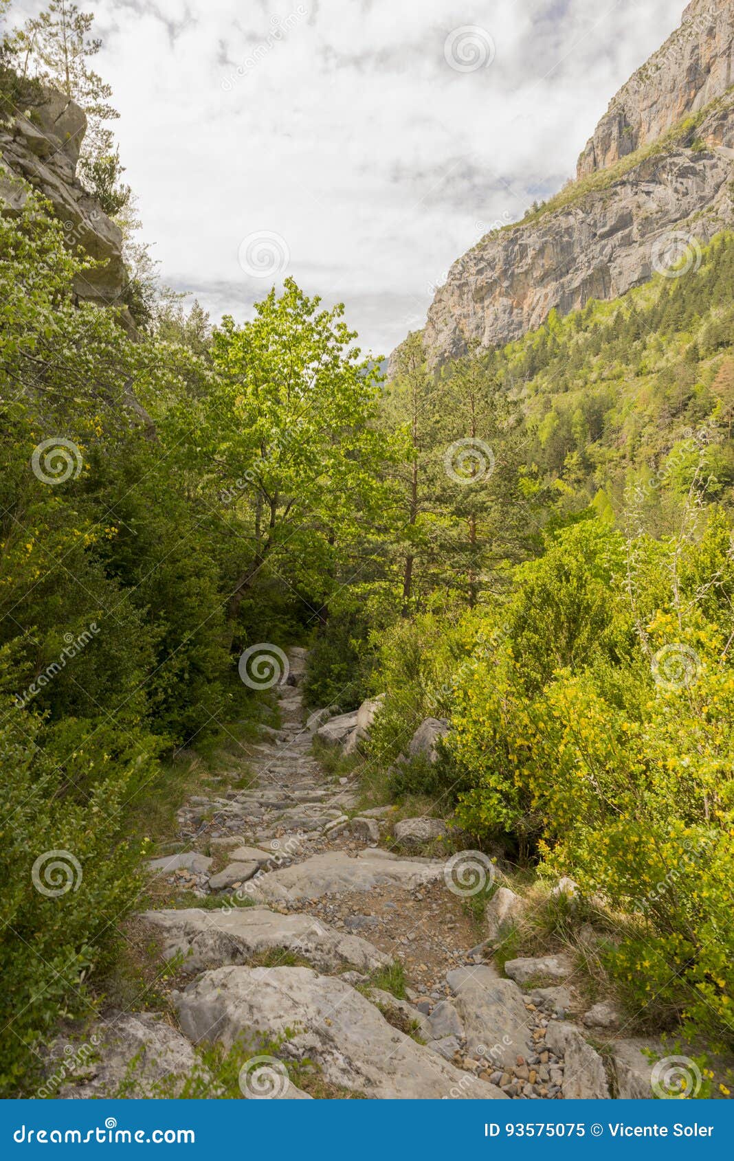 Hiking in torla ordesa stock image. Image of nature, famous - 93575075