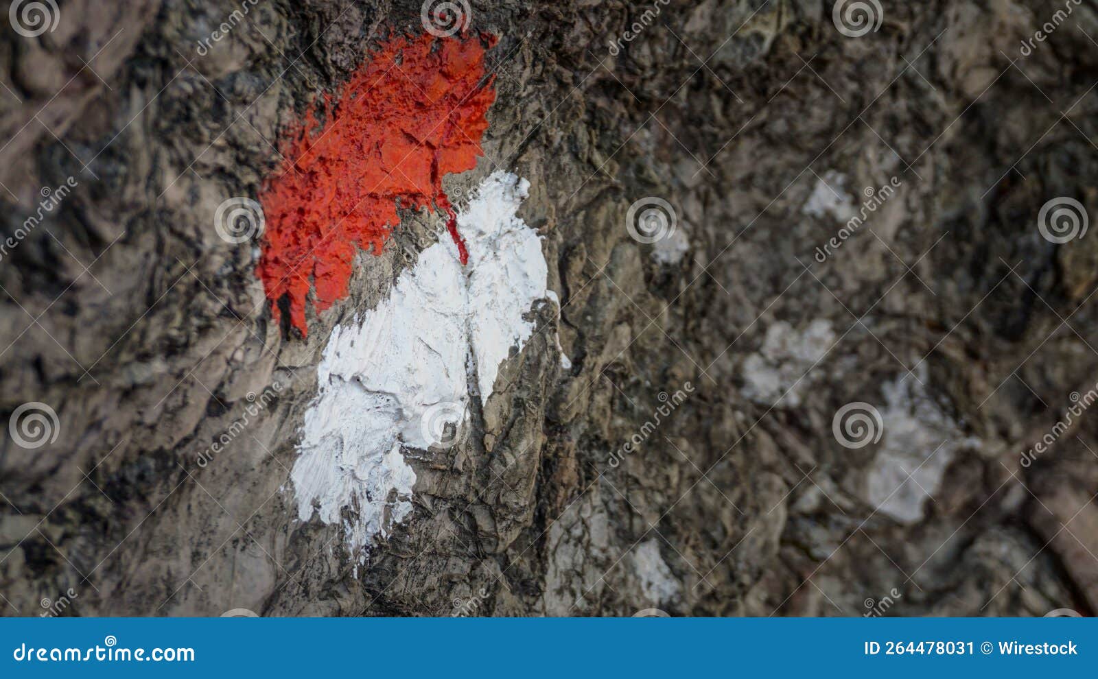 Hiking Trace Sign on Rock Showing the Right Path Stock Image - Image of ...