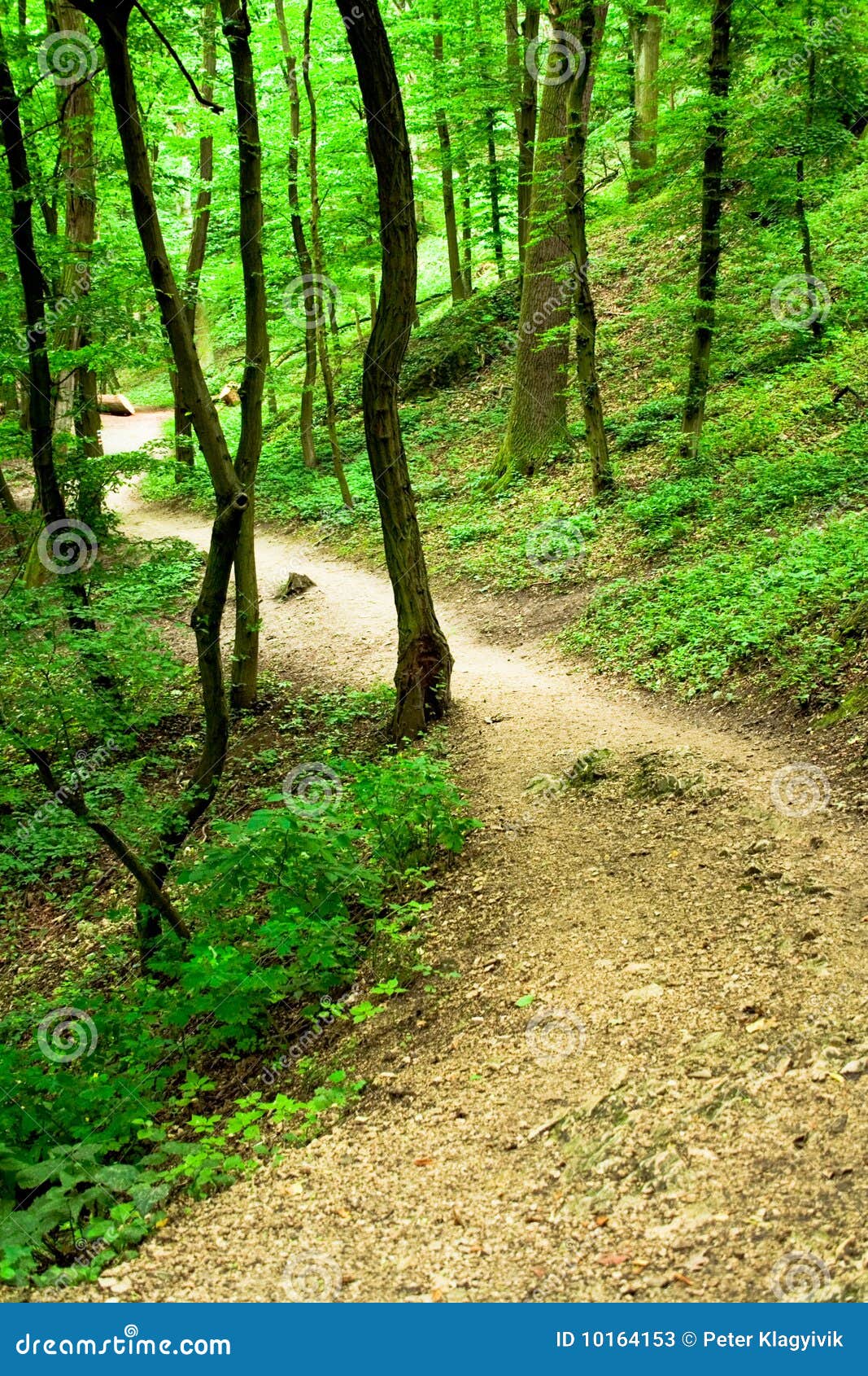 Hiking trail stock image. Image of beautiful, hiking - 10164153