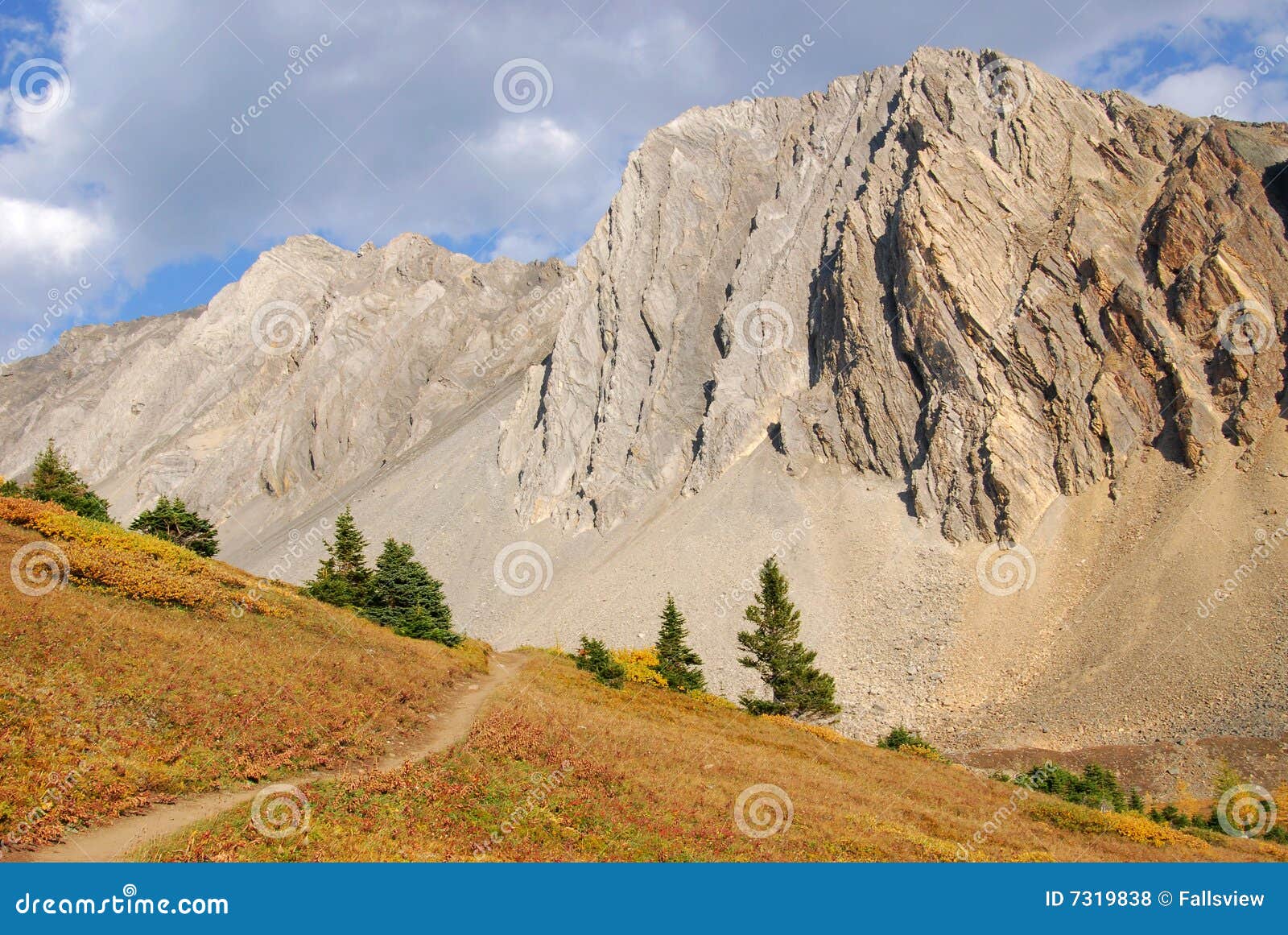Hiking Trail in Alpine Meadow Stock Photo - Image of field, hiker: 7319838