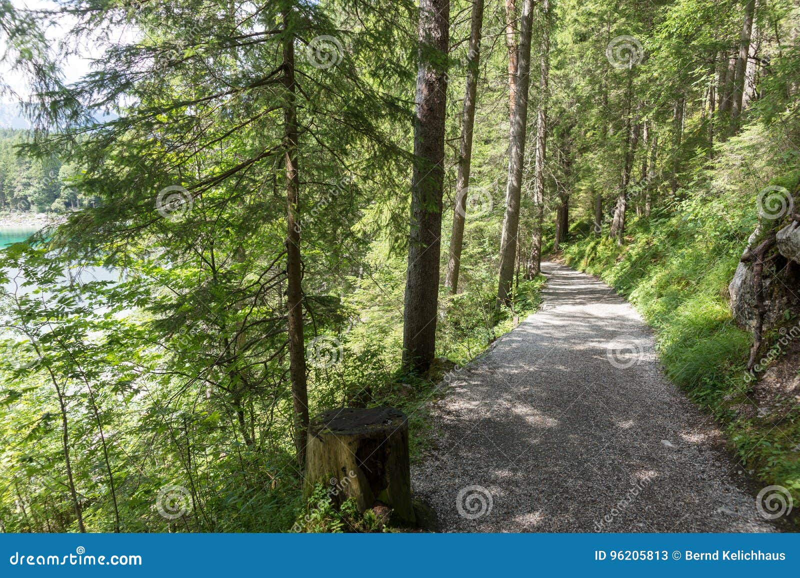 Hiking Trail Around the Eibsee Stock Image - Image of forest, bavarian ...