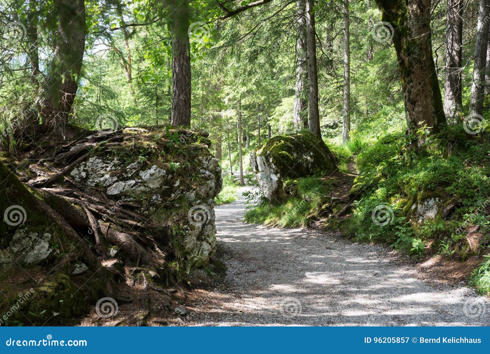 Hiking Trail Around the Eibsee Stock Image - Image of rest, alps: 96205857
