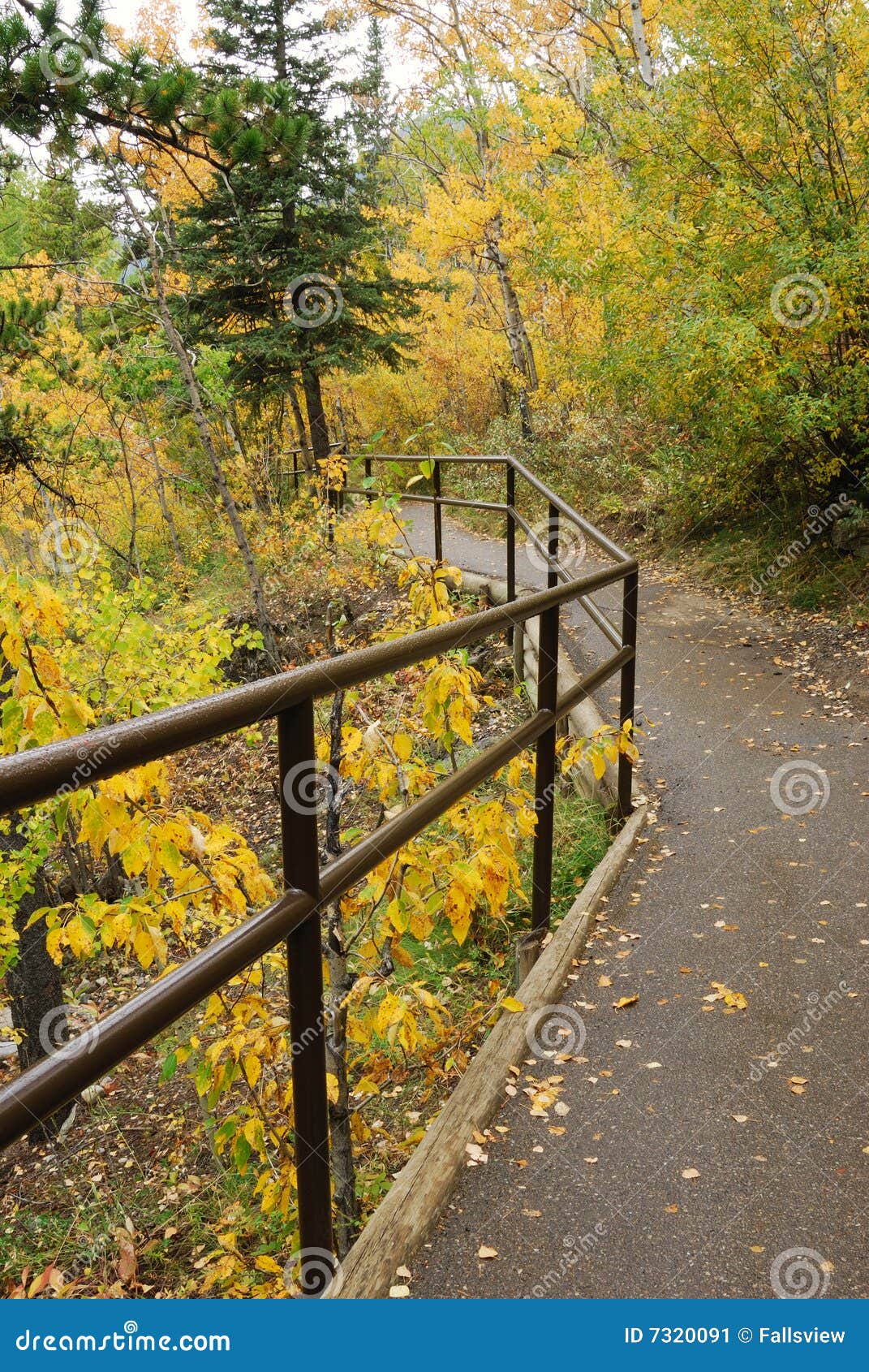 Hiking Trail in Autumn Forest Stock Image - Image of edmonton ...