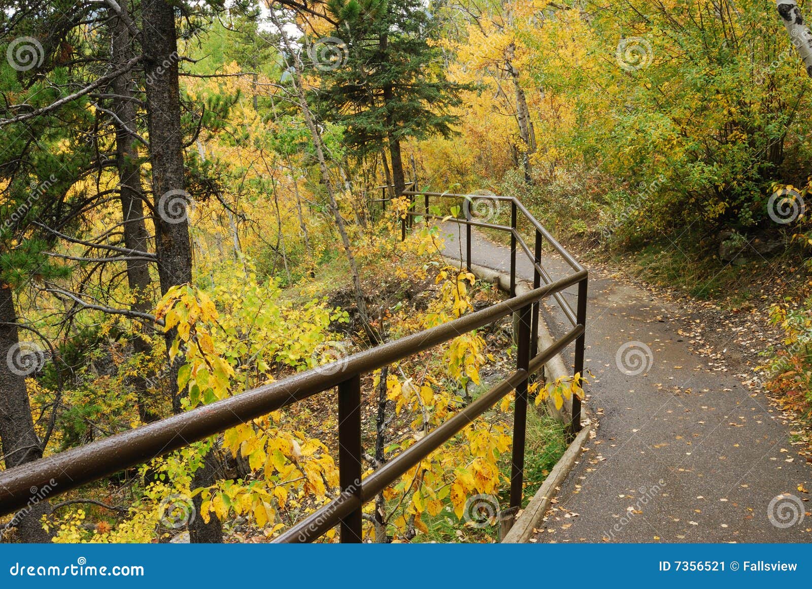 Hiking Trail in Autumn Forest Stock Image - Image of leaves, fall: 7356521