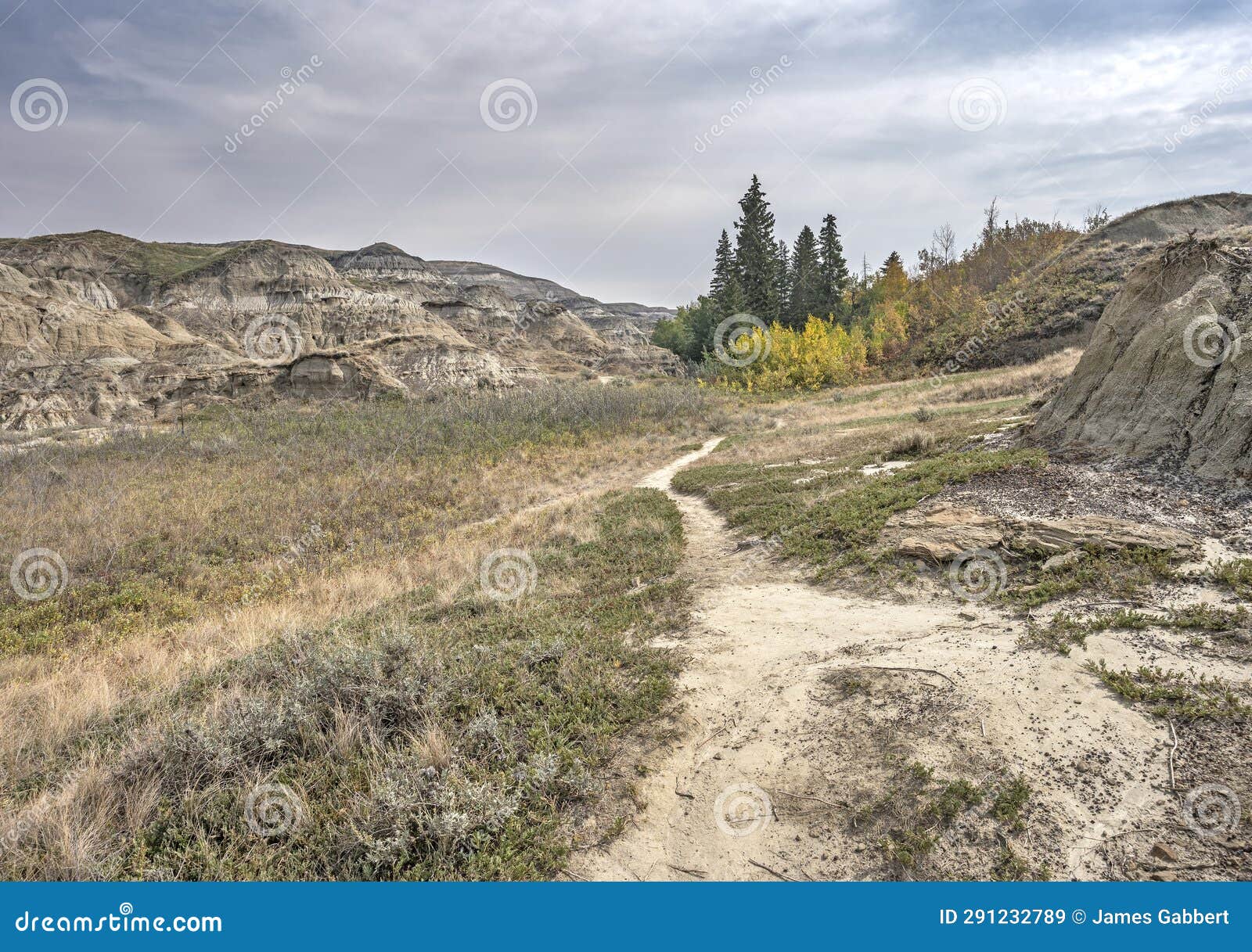 Hiking Trail in the Badlands of Horseshoe Canyon Stock Image - Image of ...