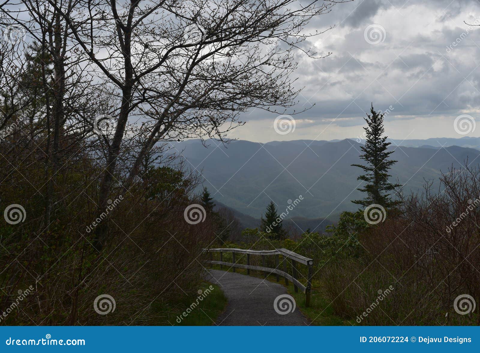 Hiking Trail through the Blue Ridge Mountains Stock Photo - Image of ...