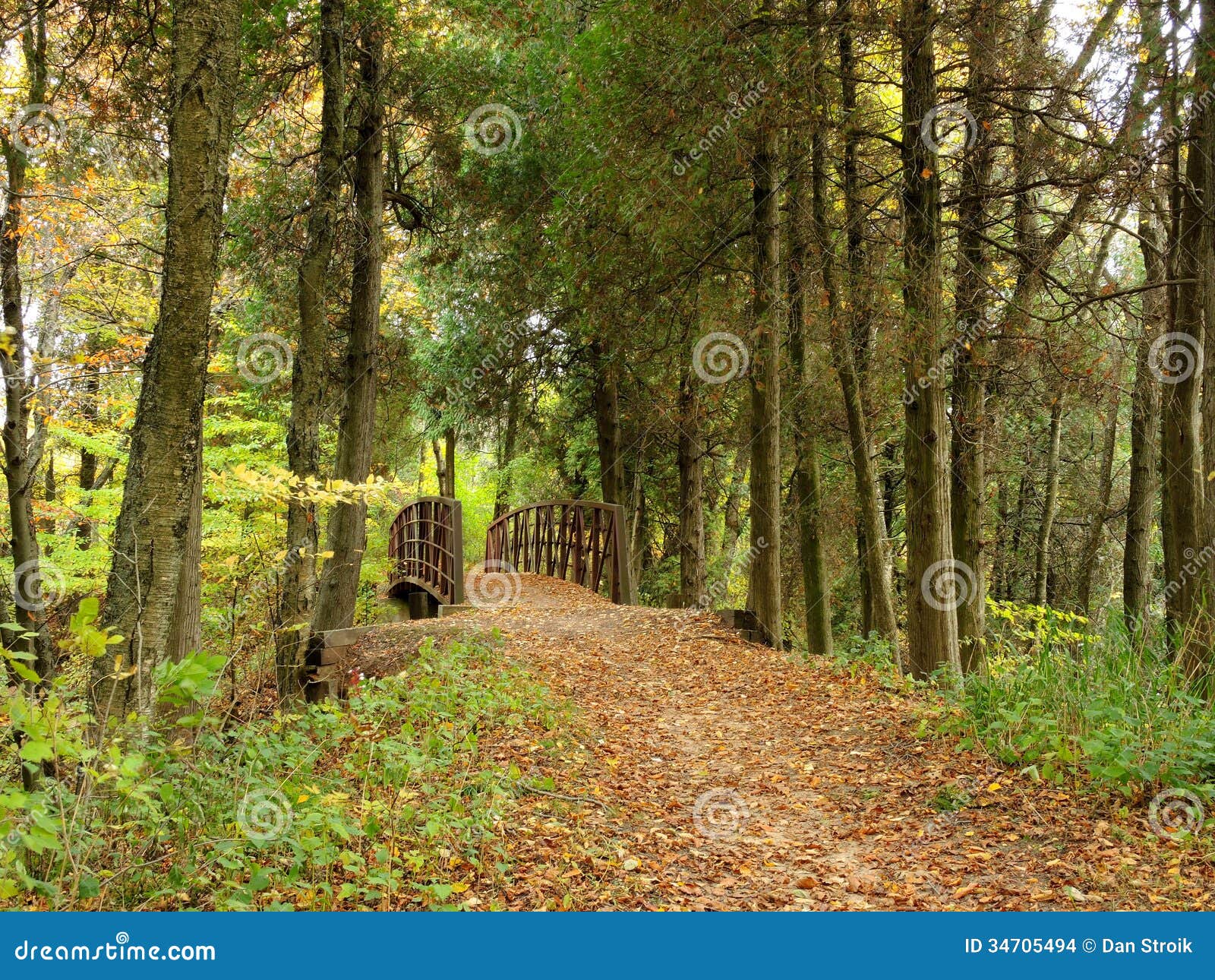 A hiking trail bridge stock photo. Image of park, leaves - 34705494