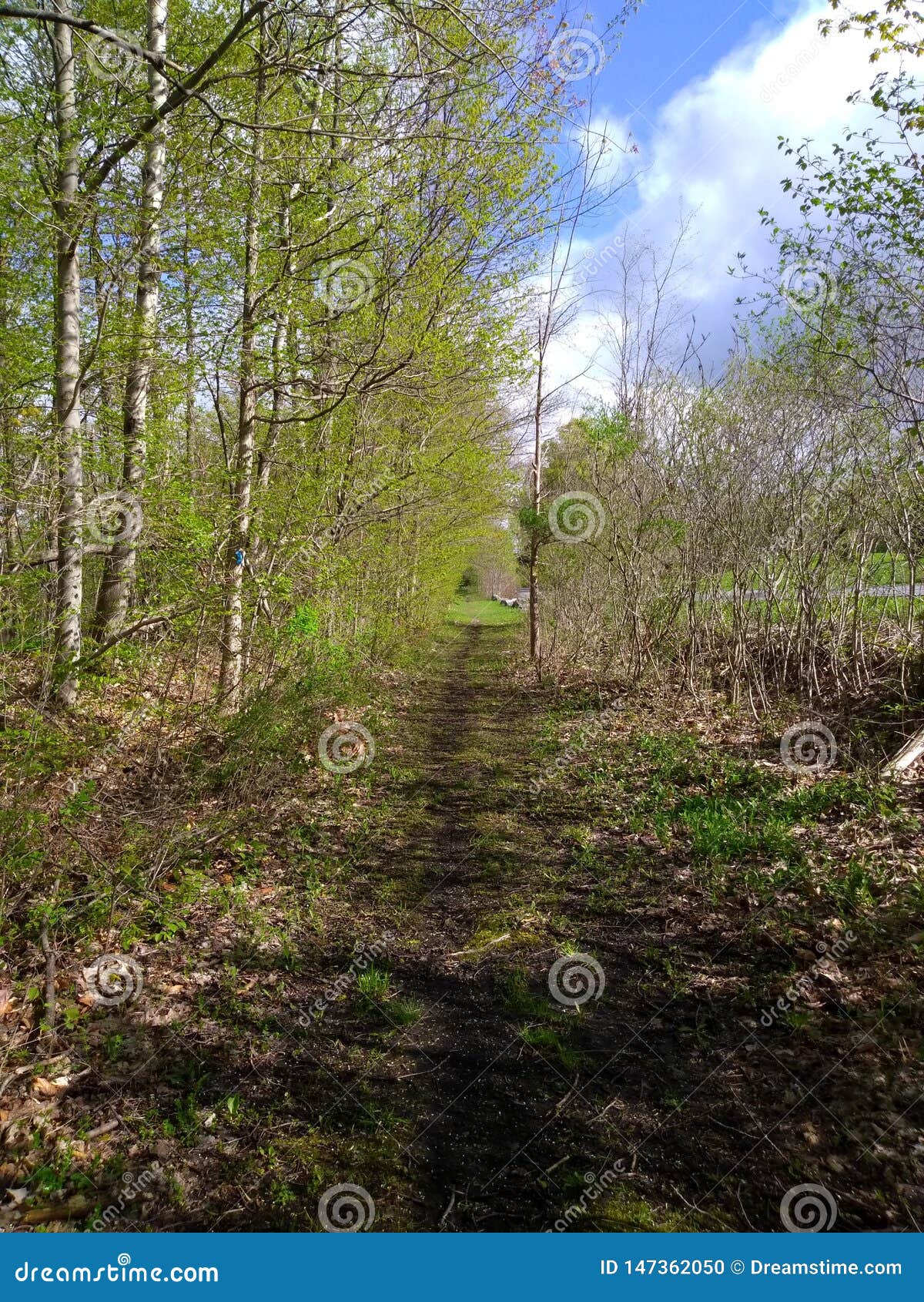 Hiking Trail stock photo. Image of trail, outside, hiking - 147362050