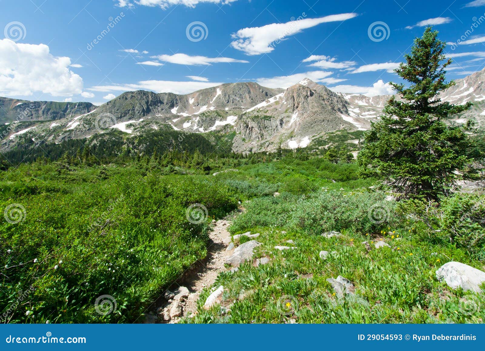 Hiking Trail through Colorado Mountain Landscape Stock Image - Image of ...