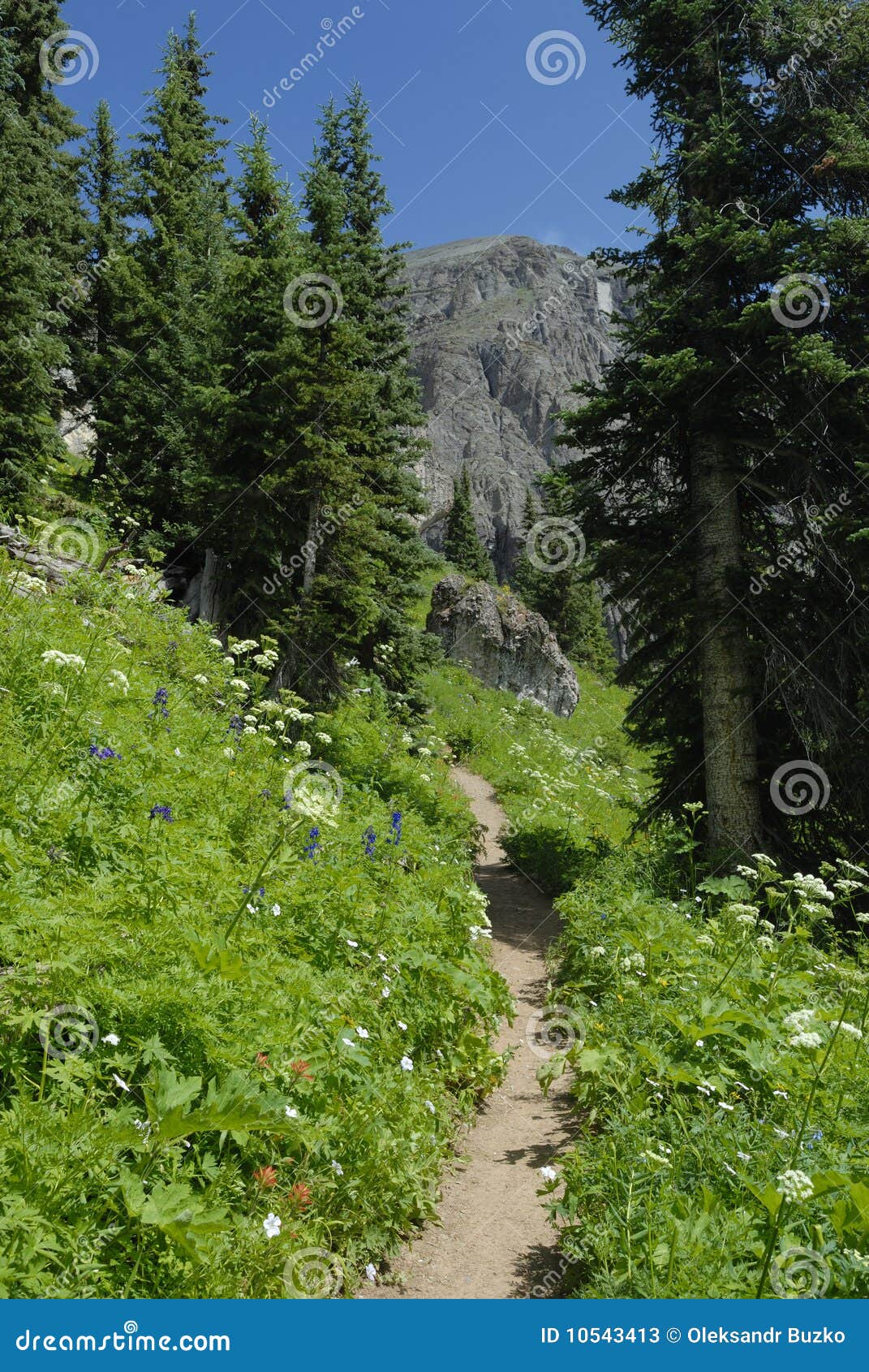 Hiking Trail in Colorado Rocky Mountains Stock Image - Image of journey ... Hiking Trail in Colorado Rocky Mountains Stock Image - Image of journey ...